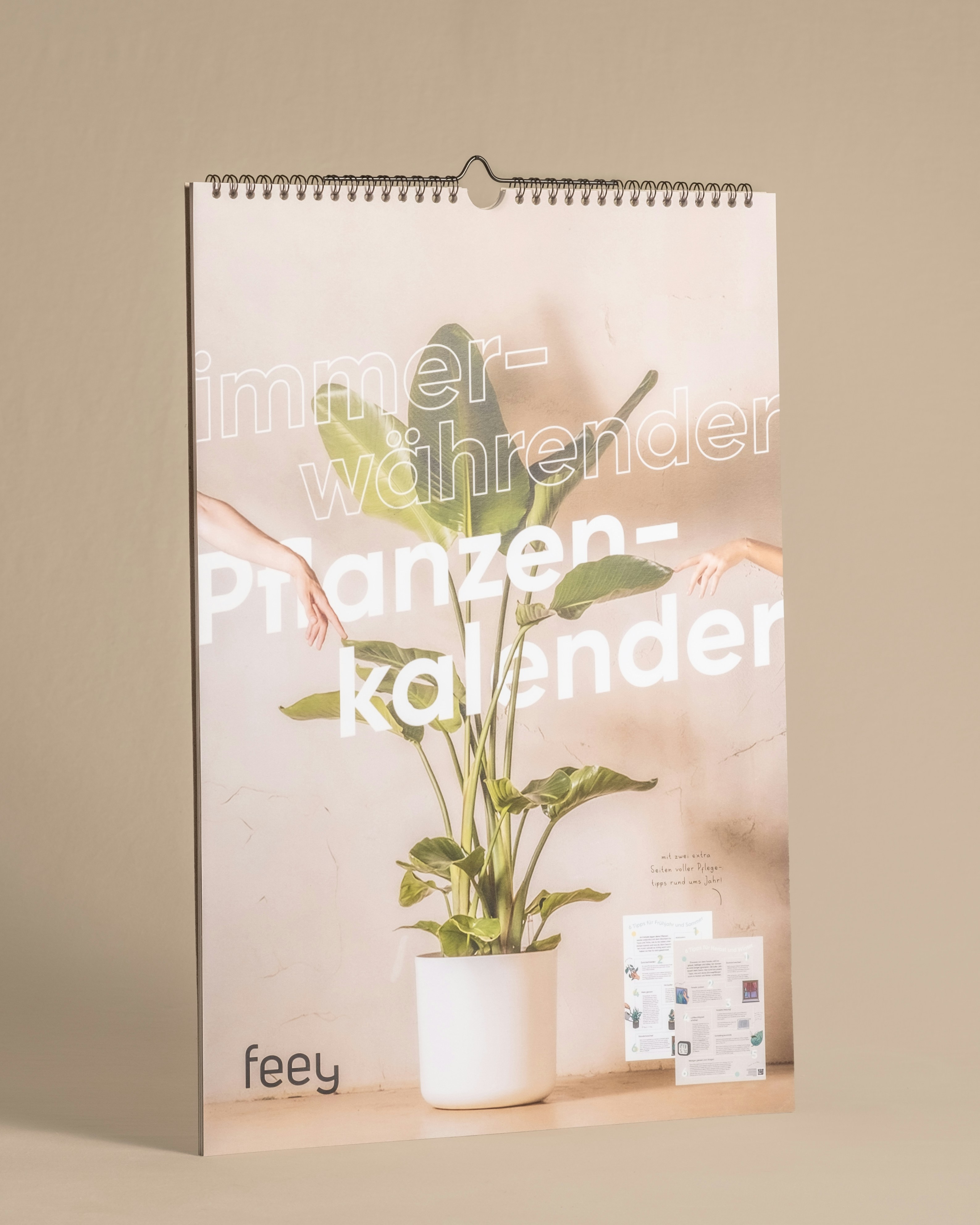 A calendar with a plant in a pot photo – Free Plant Image on Unsplash