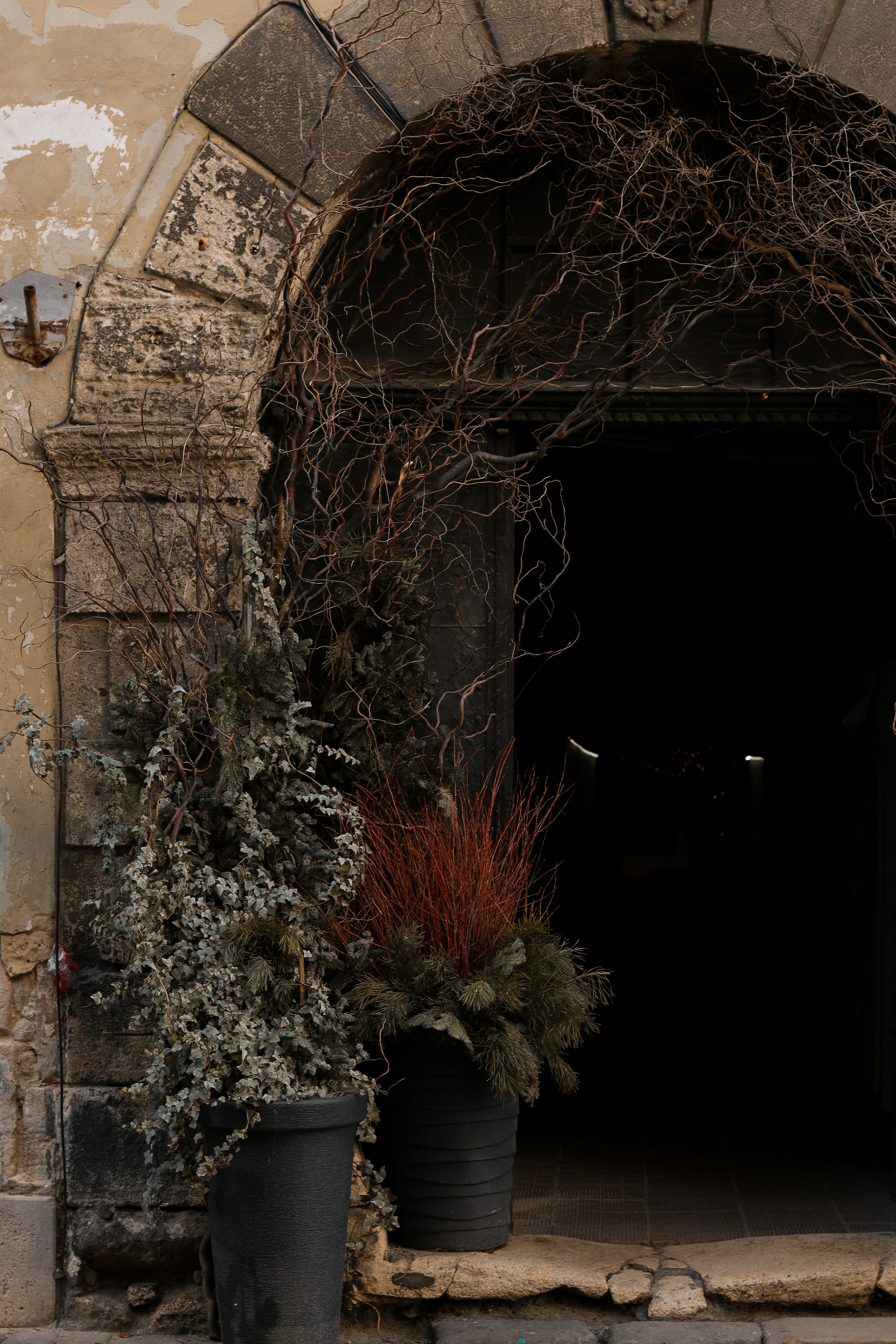 Hidden Entrance: Vines Cloaking an Ancient Archway