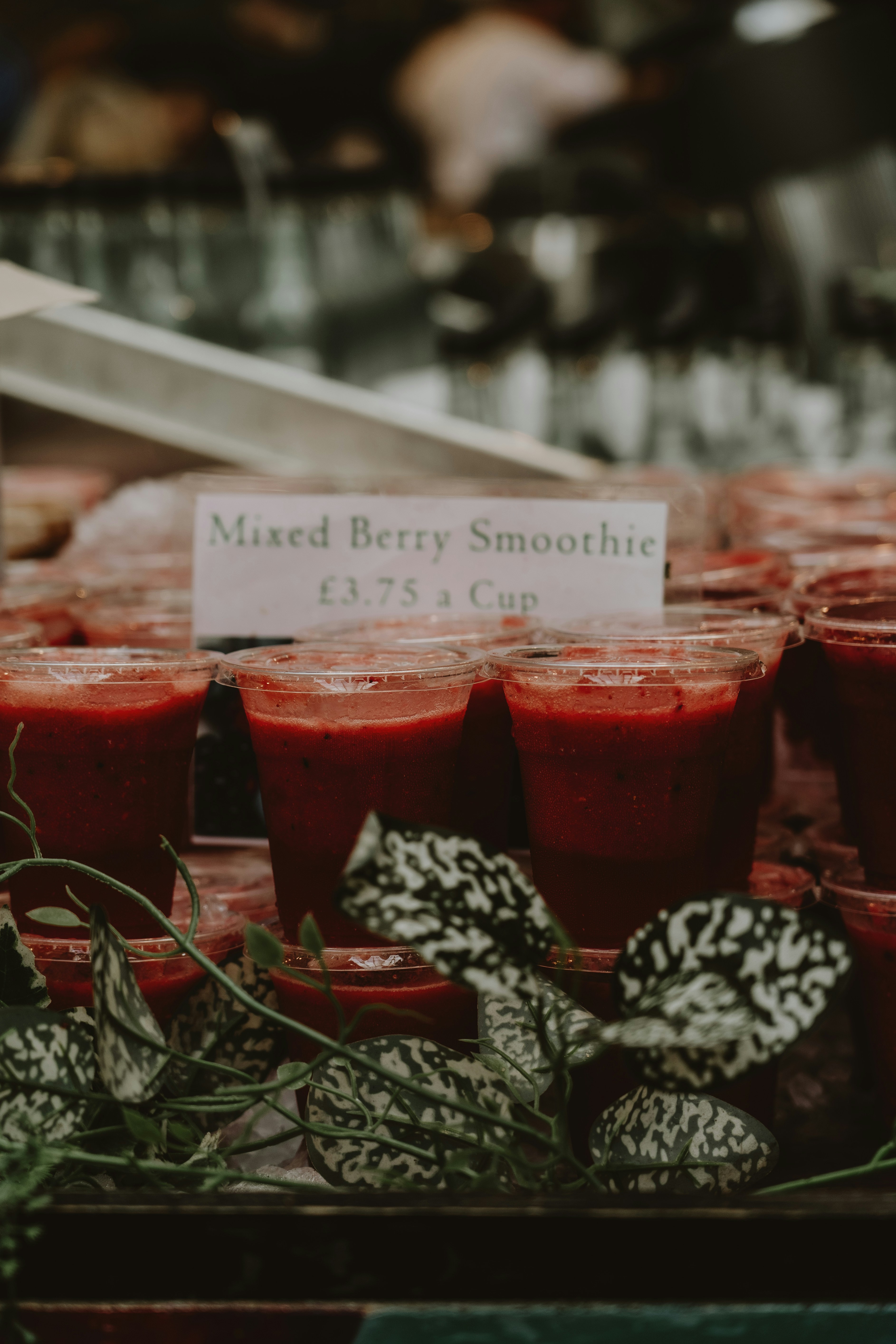 Photo by Asta Co with Sony Alpha 7 III