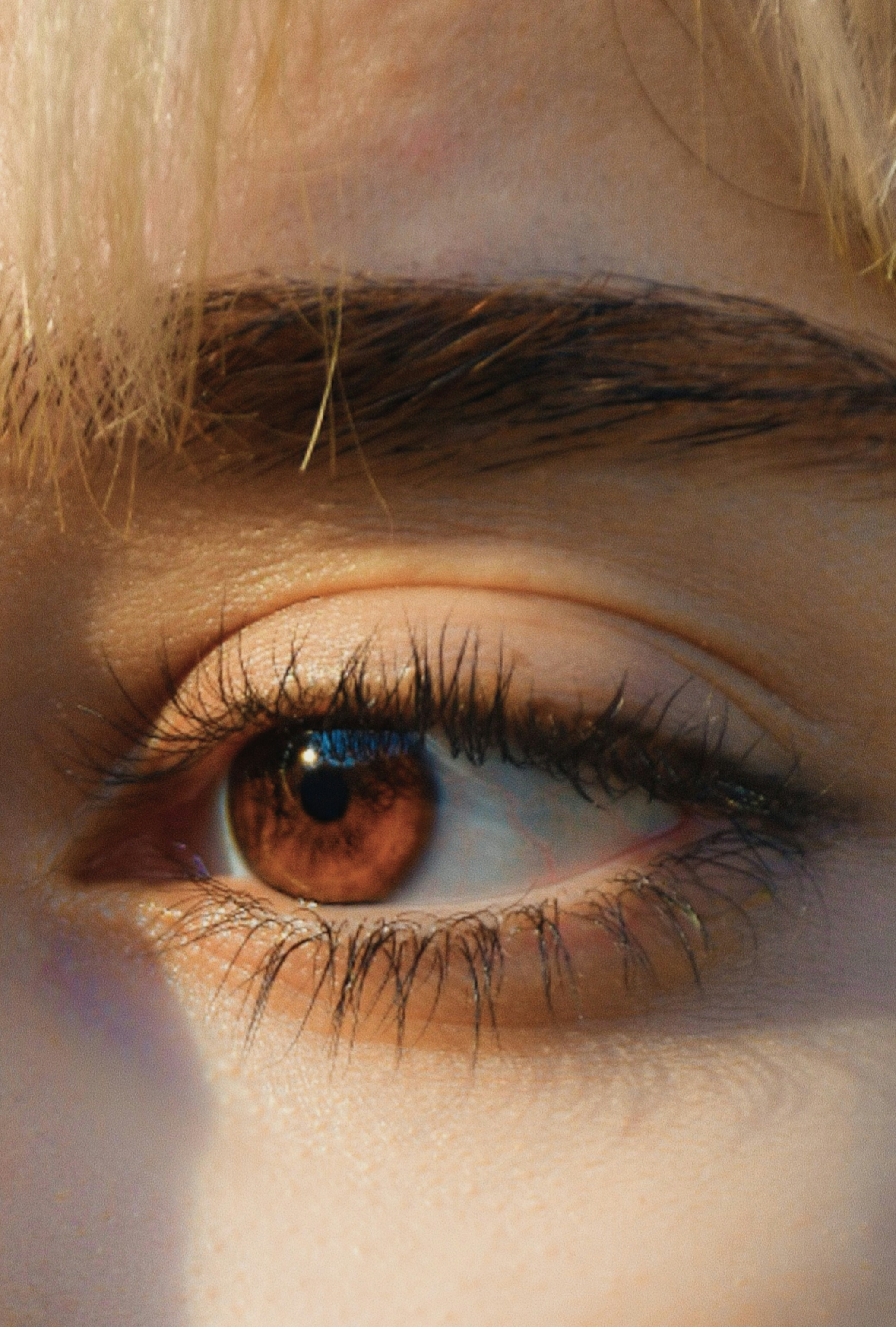 A close up of a person's eye with long eyelashes photo – Free Eyes ...