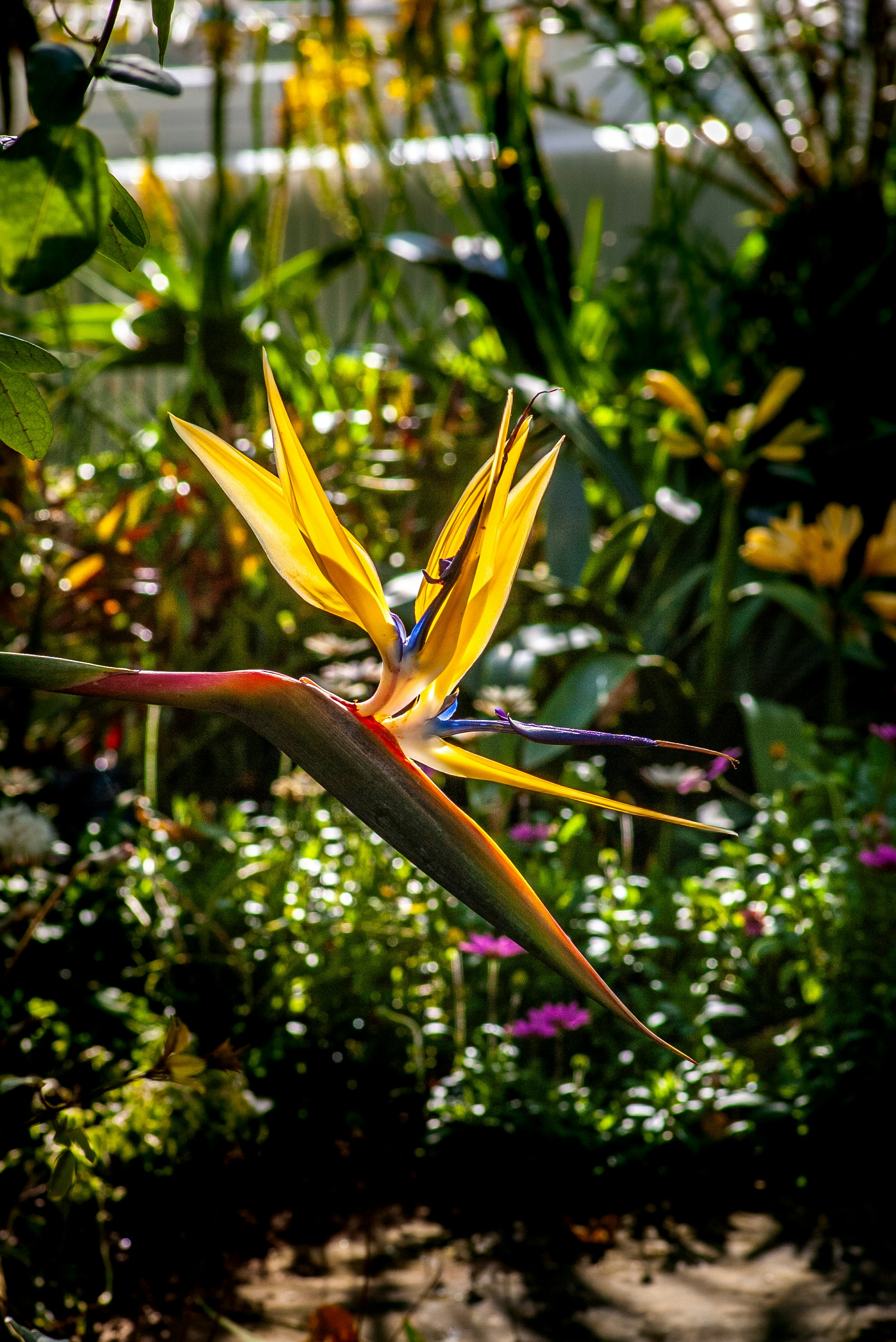 Photo by Yoksel 🌿 Zok with Pentax K100D Super