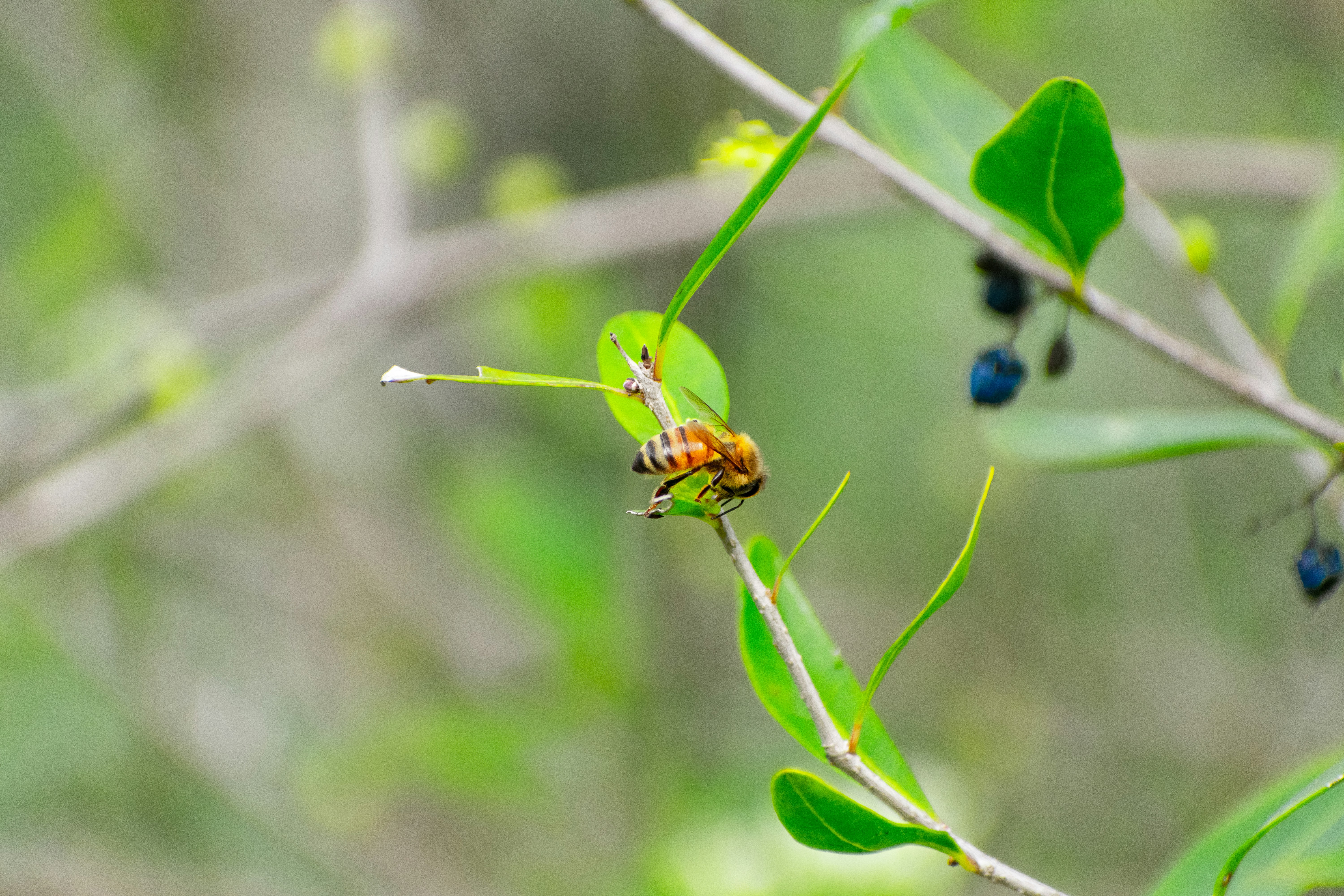 Photo by Robin Teng with Nikon D3400