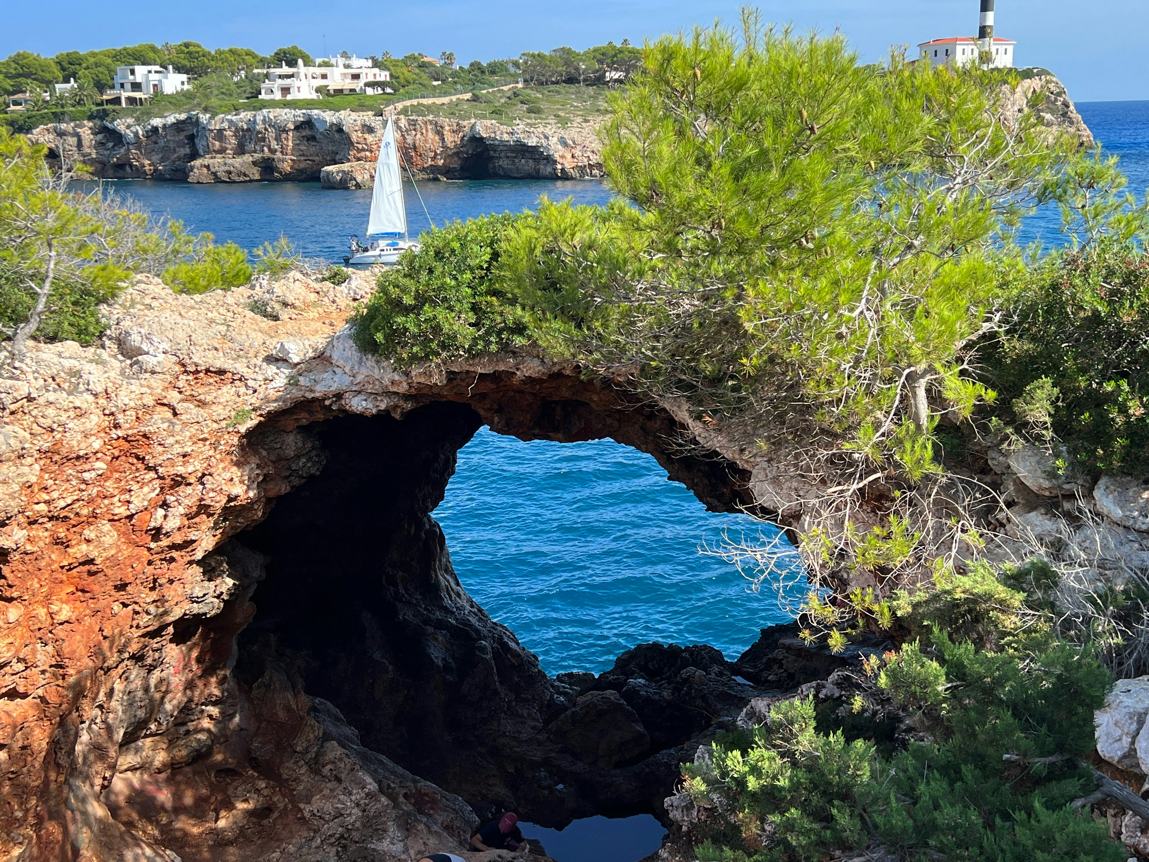 Moein Foroutani (@fotomo) | Comunidade de fotos da Unsplash