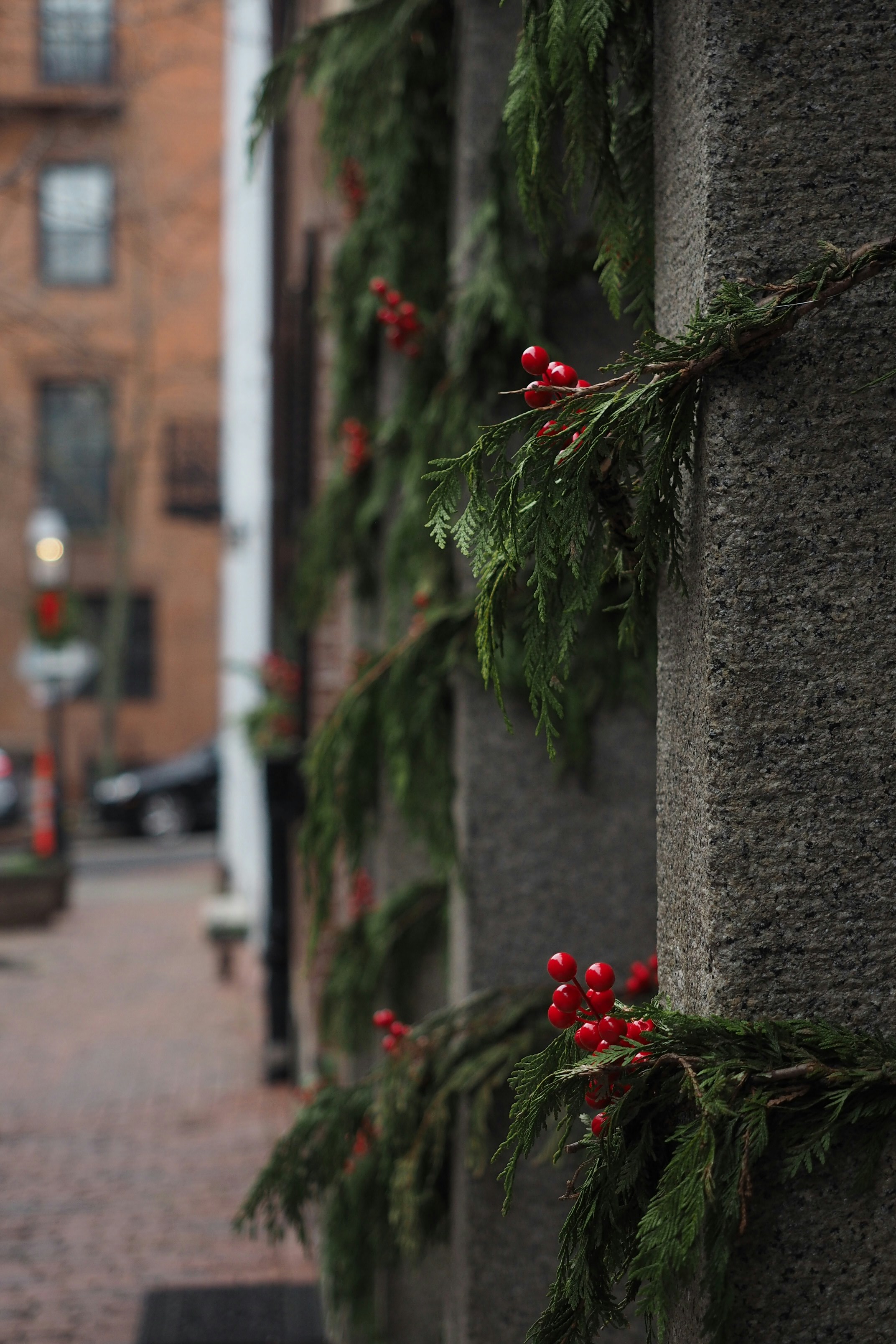 Red Berries on a Winter Wall