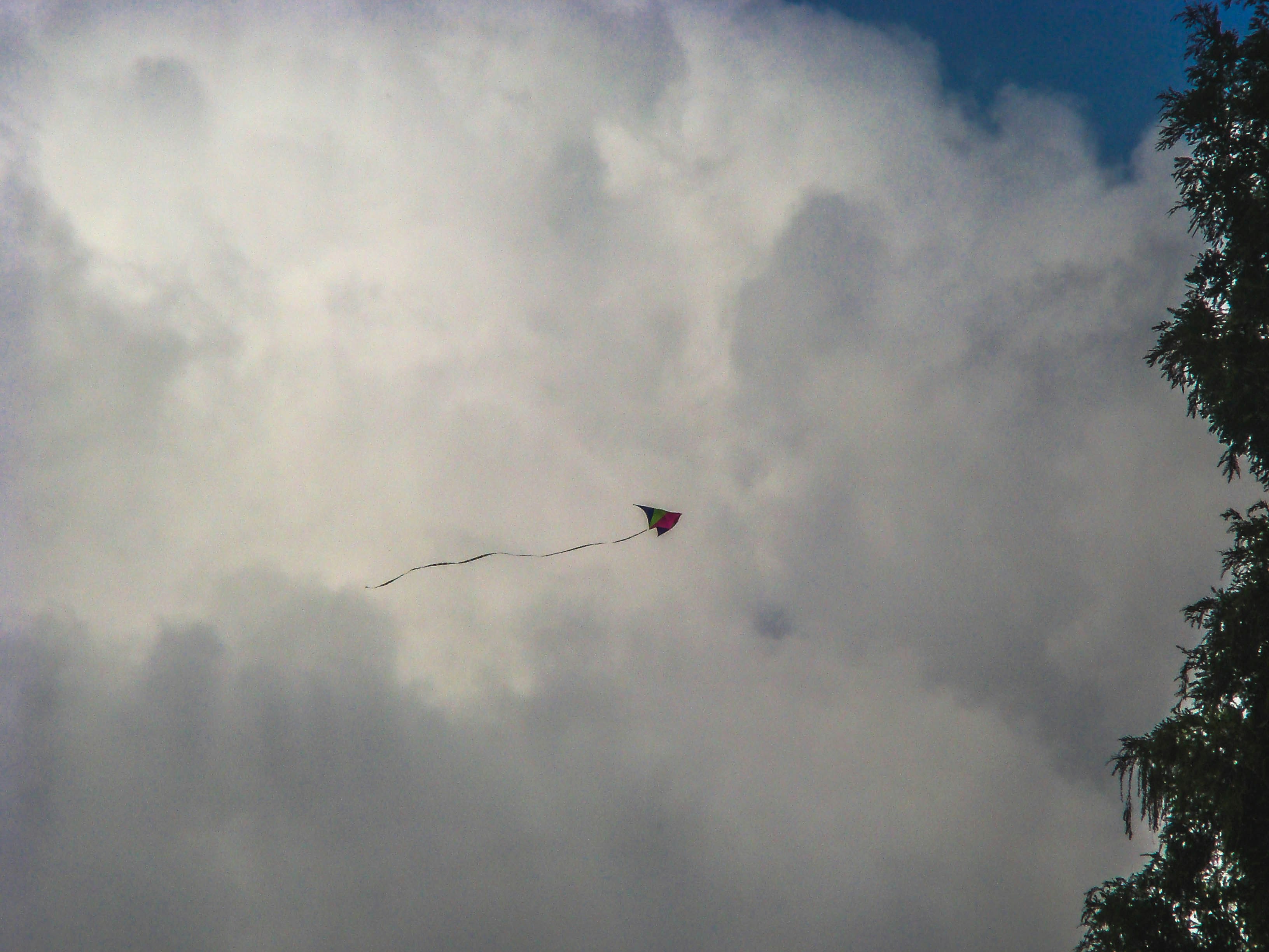 Photograph of a colorful kite trailing a long tail across a cloudy sky, with tree silhouettes to the right.