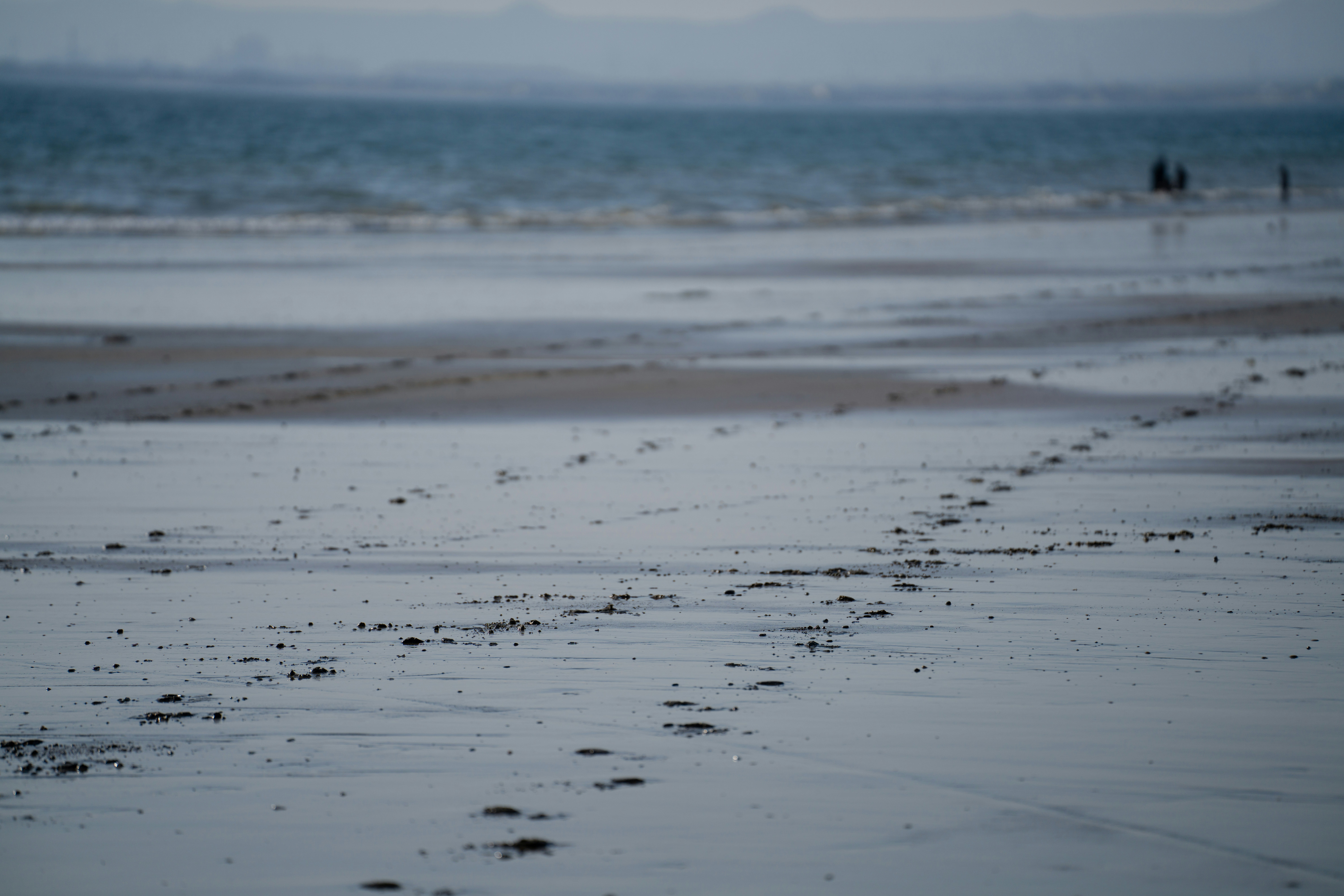 Distant Figures at Velvet Tide: A Quiet Shore in Soft Hues