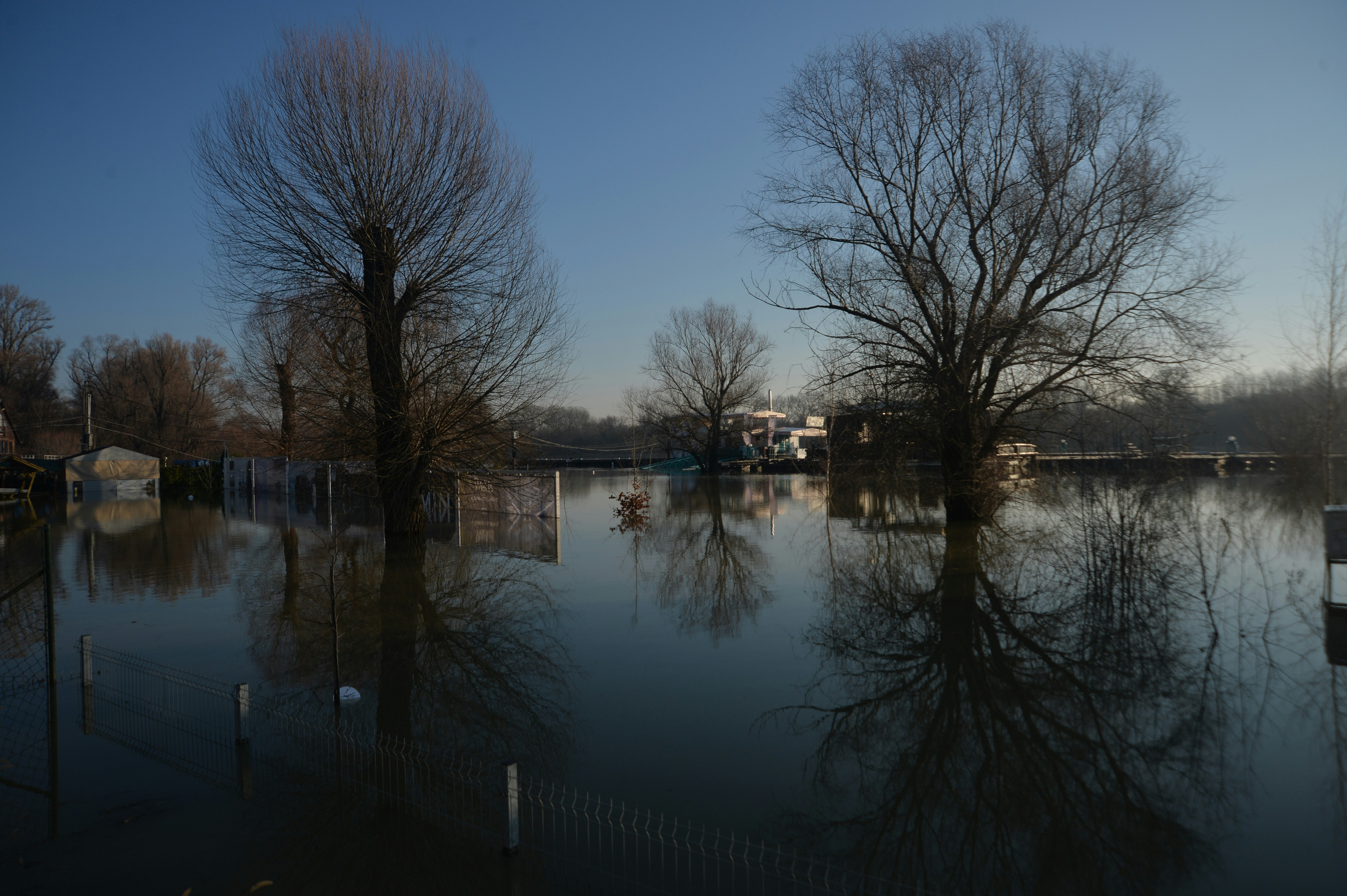 Reflections in Quiet Flood: Bare Trees on a Glassy Riverside