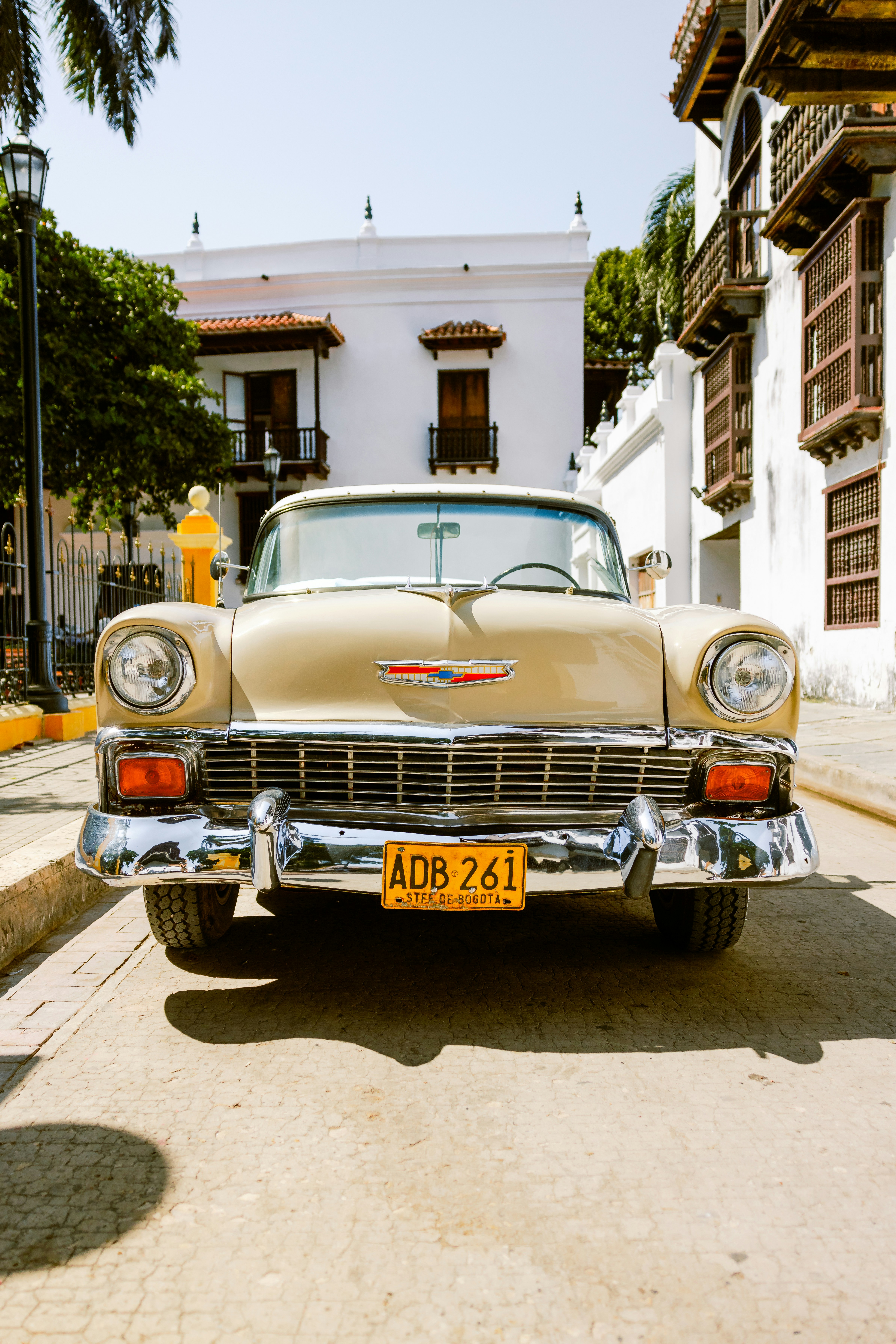 Photo by Christopher Alvarenga with Canon EOS R5