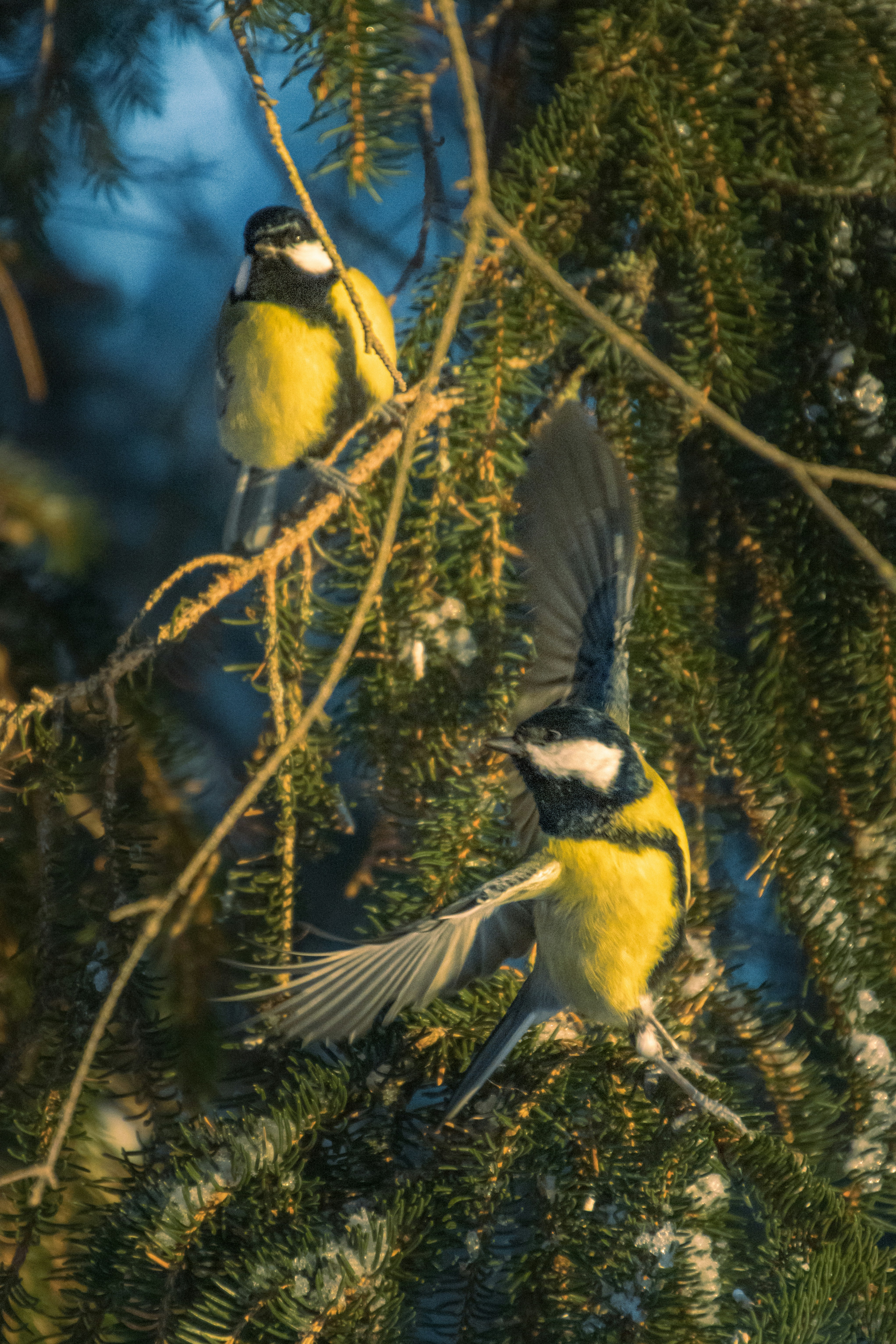 Sample photo from Canon EOS M6 Mark II