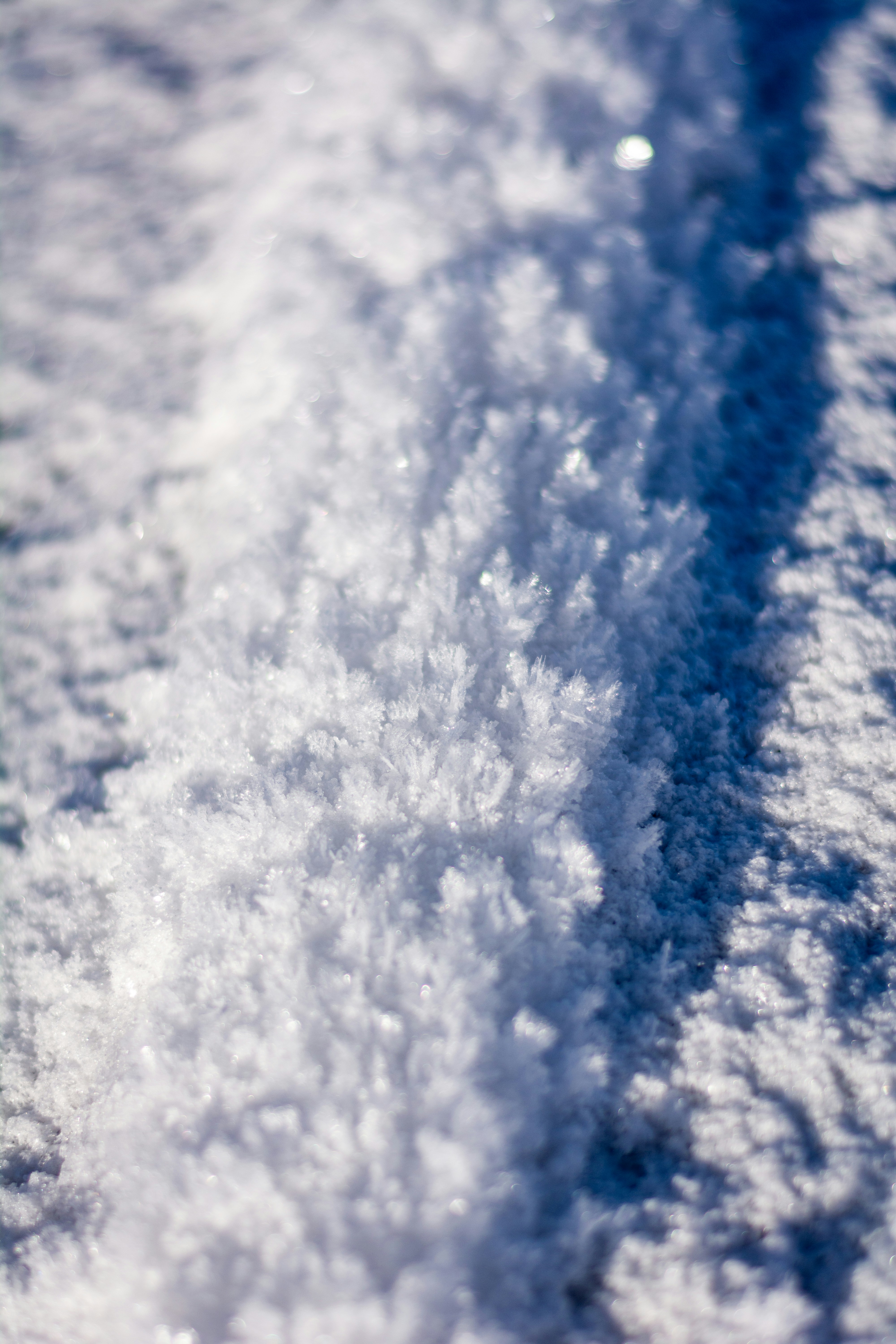 Un gros plan de la neige au sol photo – Image gratuite de Glace sur ...