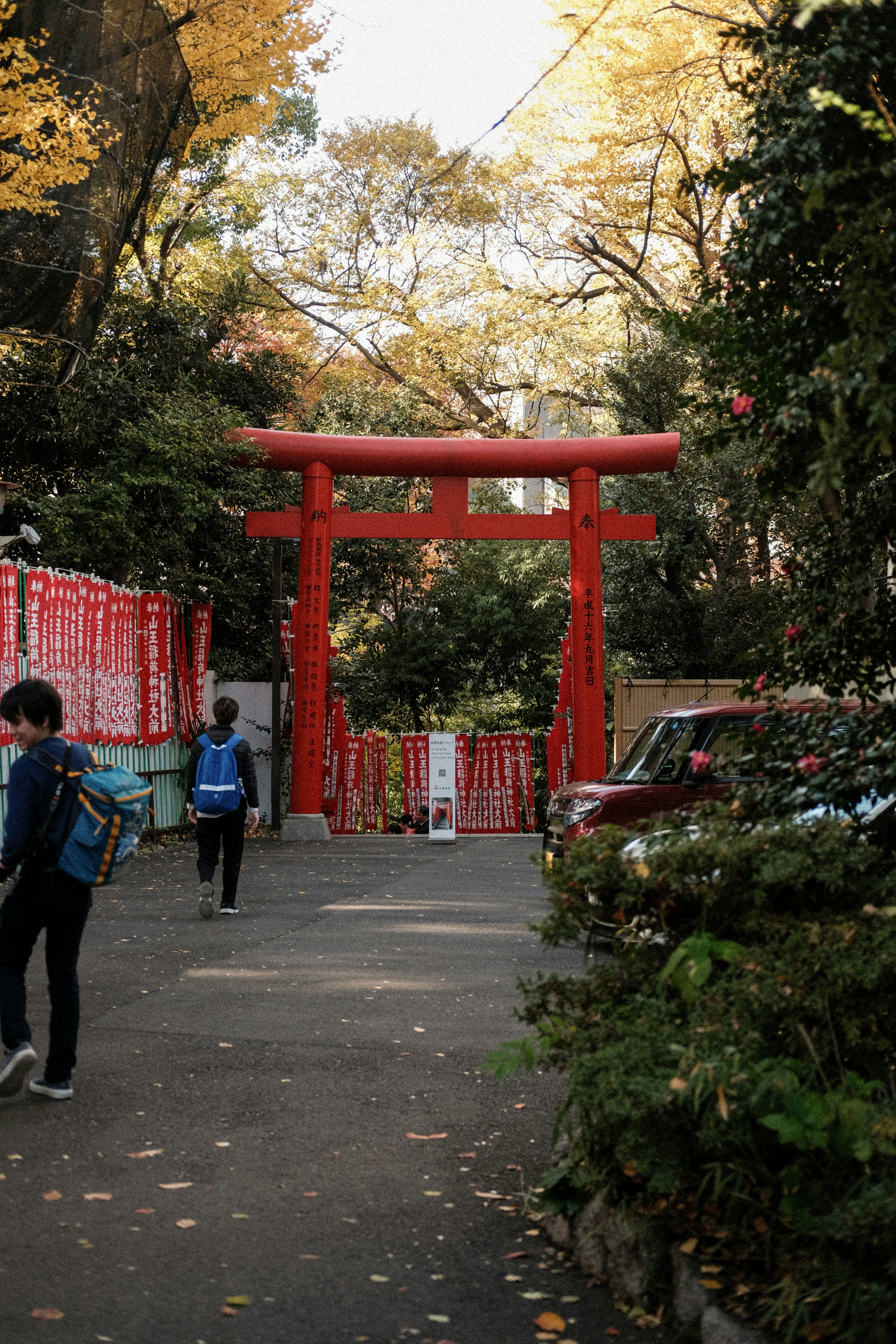 Crimson Torii Framing an Autumn Shrine Approach