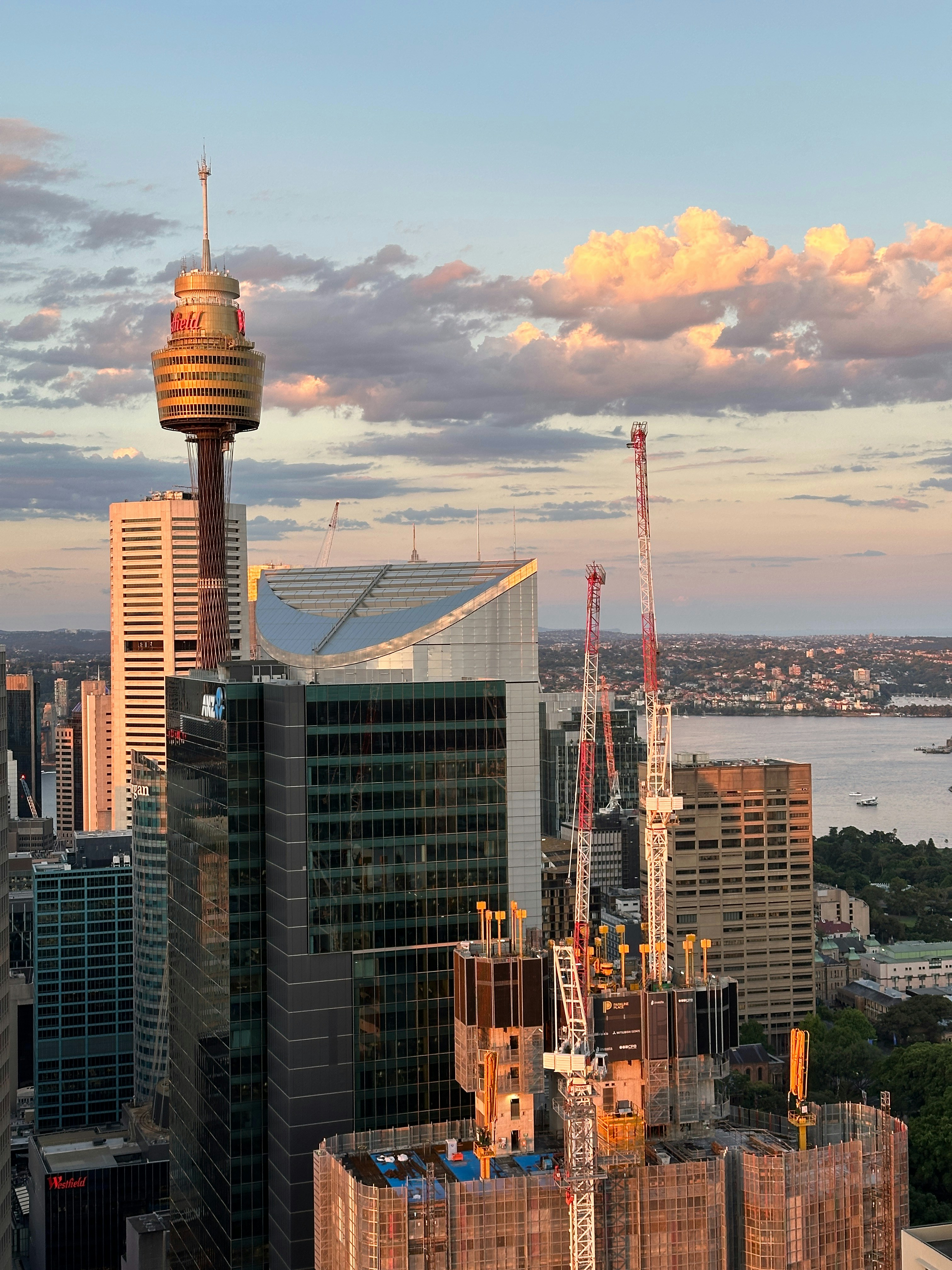Golden Hour Sentinel: The Tower Over a Crane-lit CBD