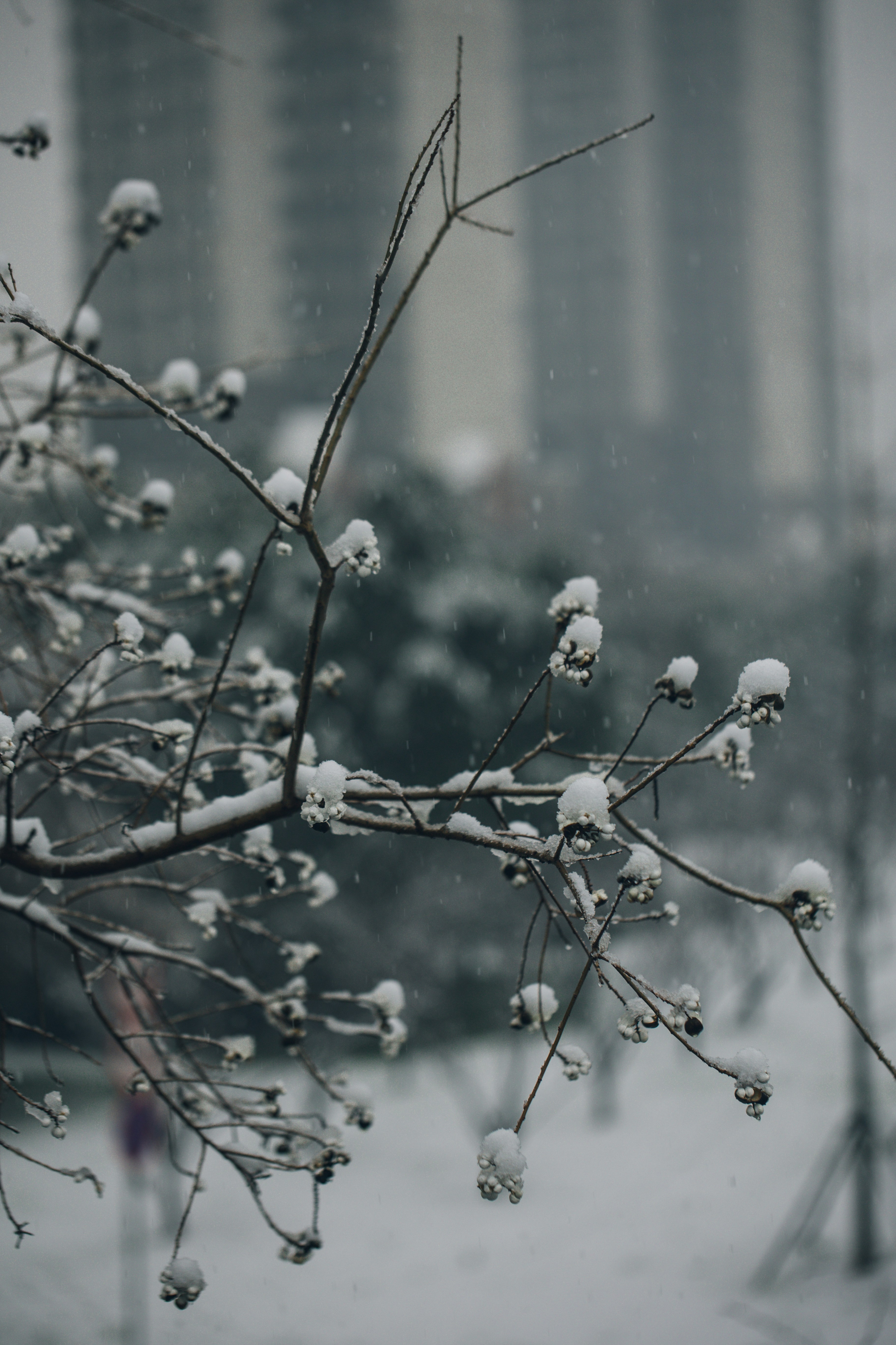 Photo by Neat J with Canon EOS R6