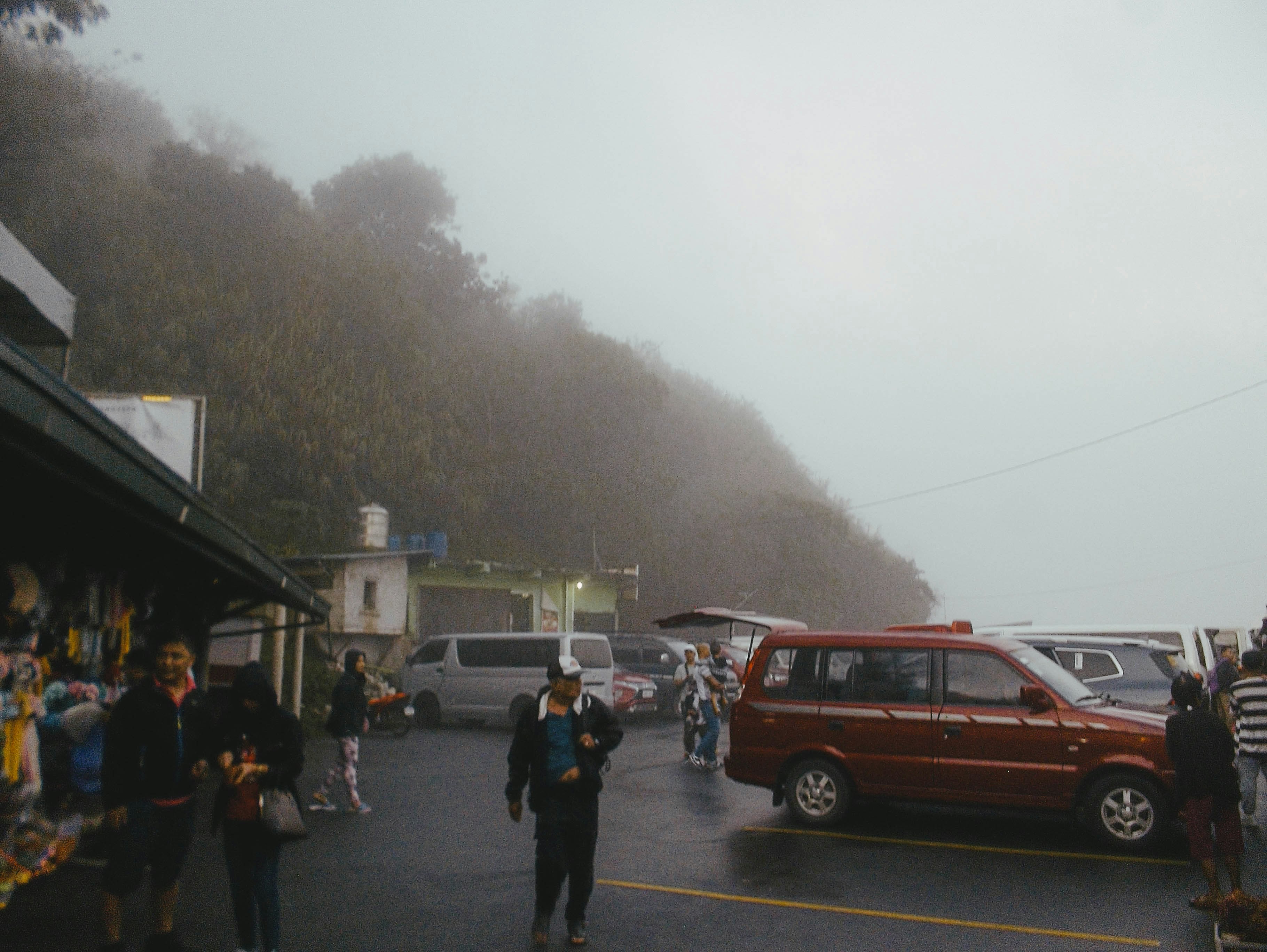 Misty Morning Gathering in the Lot