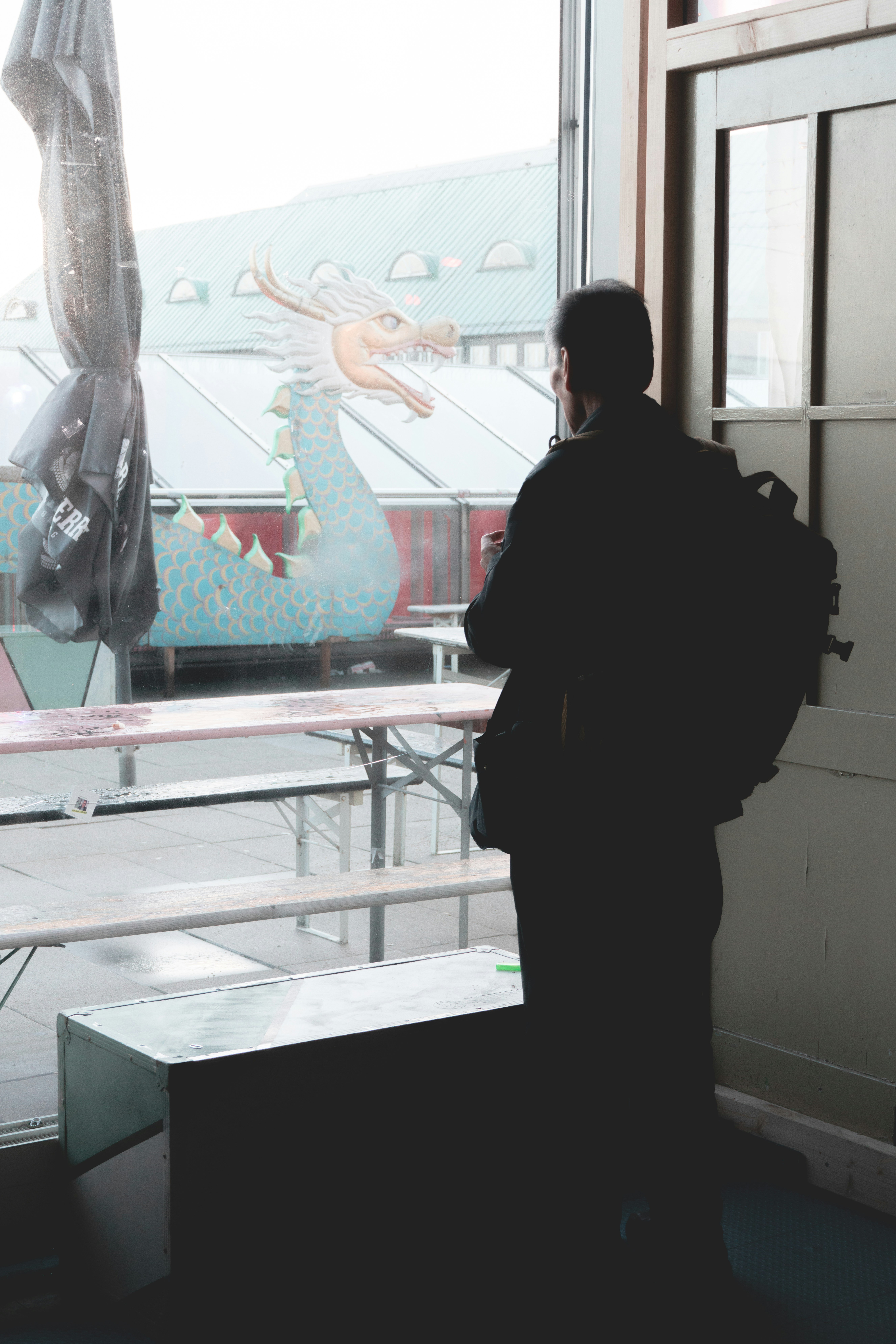 Dragon Through the Glass: A Quiet Encounter
