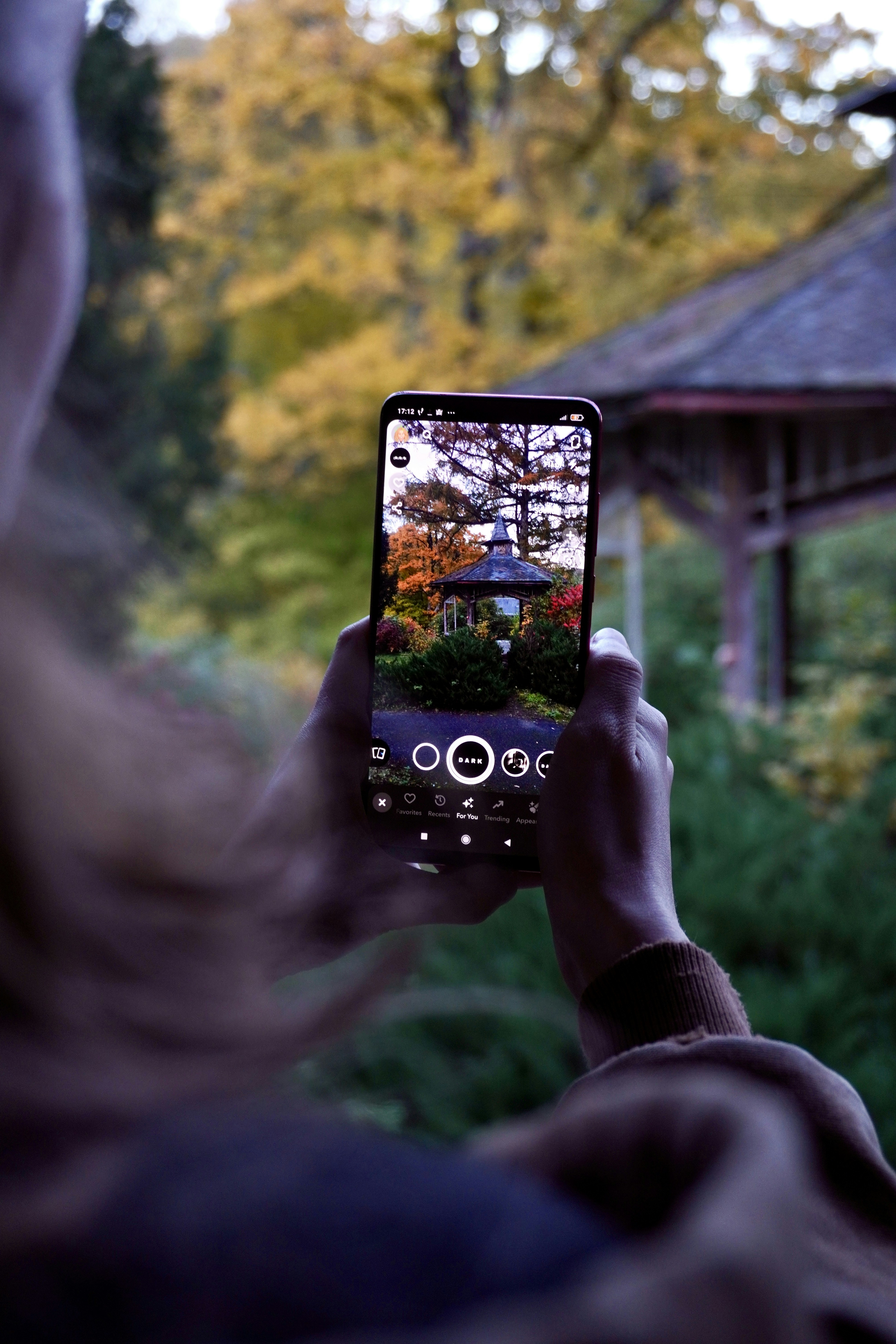 Capturing a Pocket of Autumn Through a Phone Screen