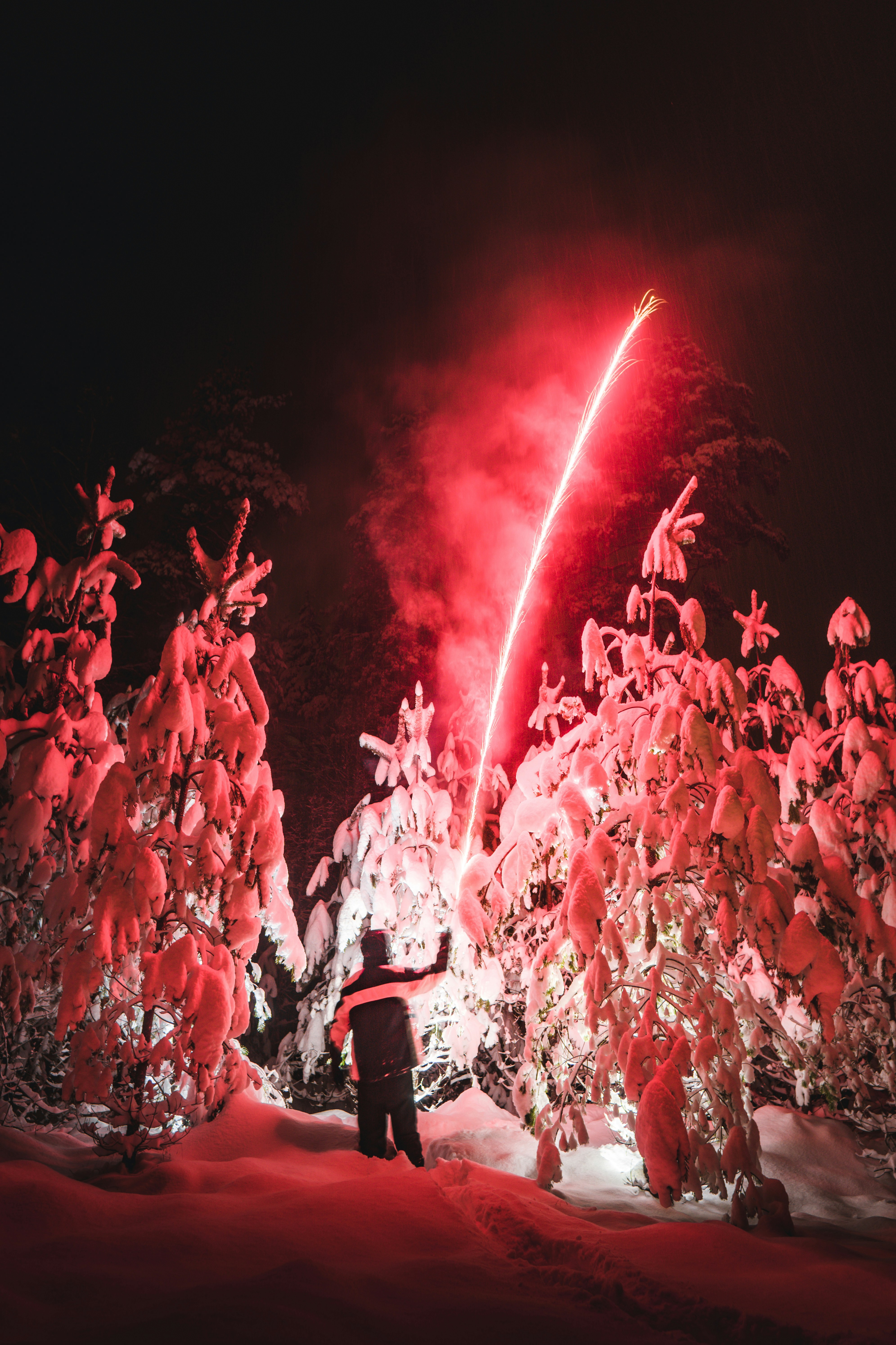 Photo by Kārlis Pormalis with Sony Alpha 6300