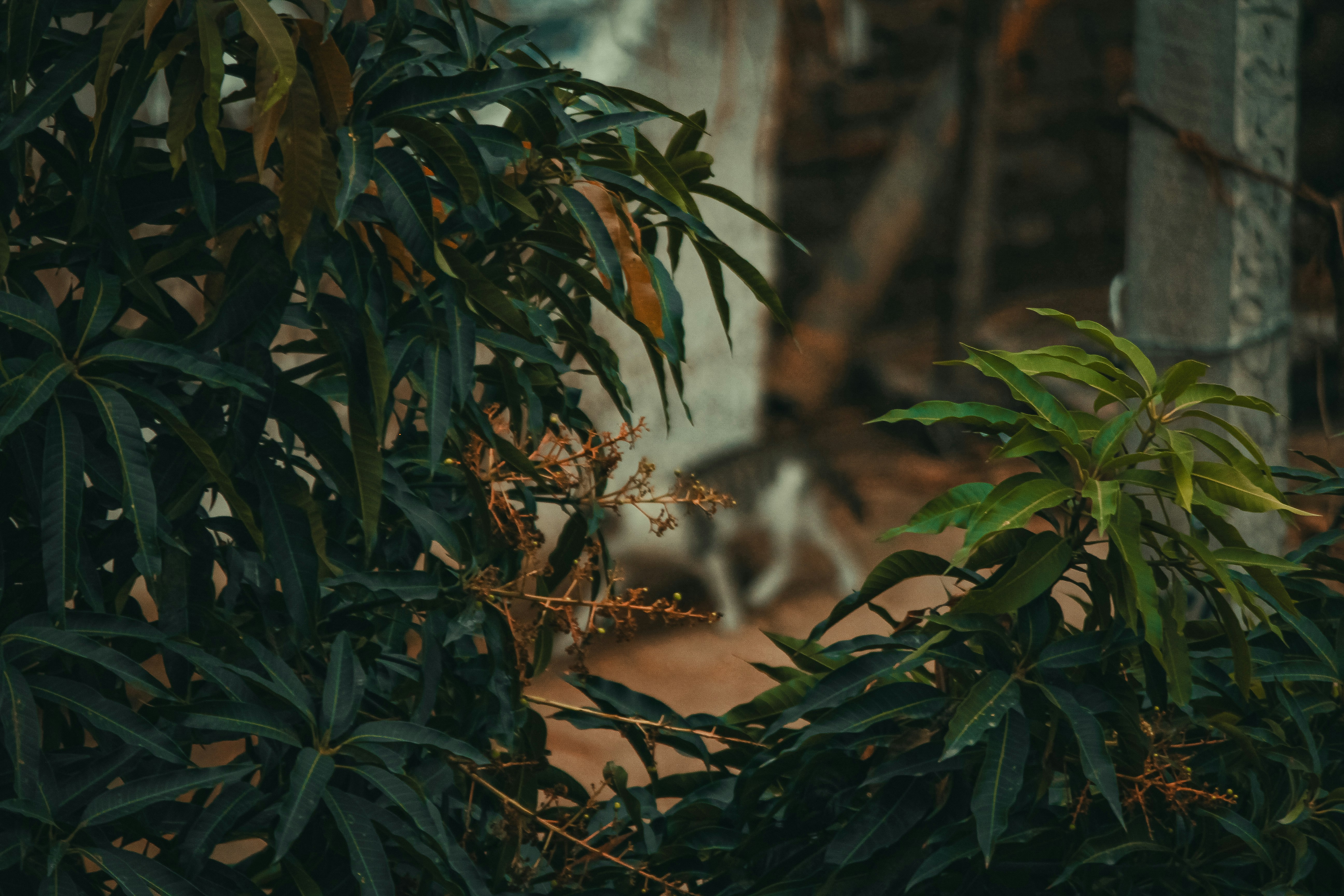 Photo by Muhammad Shakir with Canon EOS 1200D