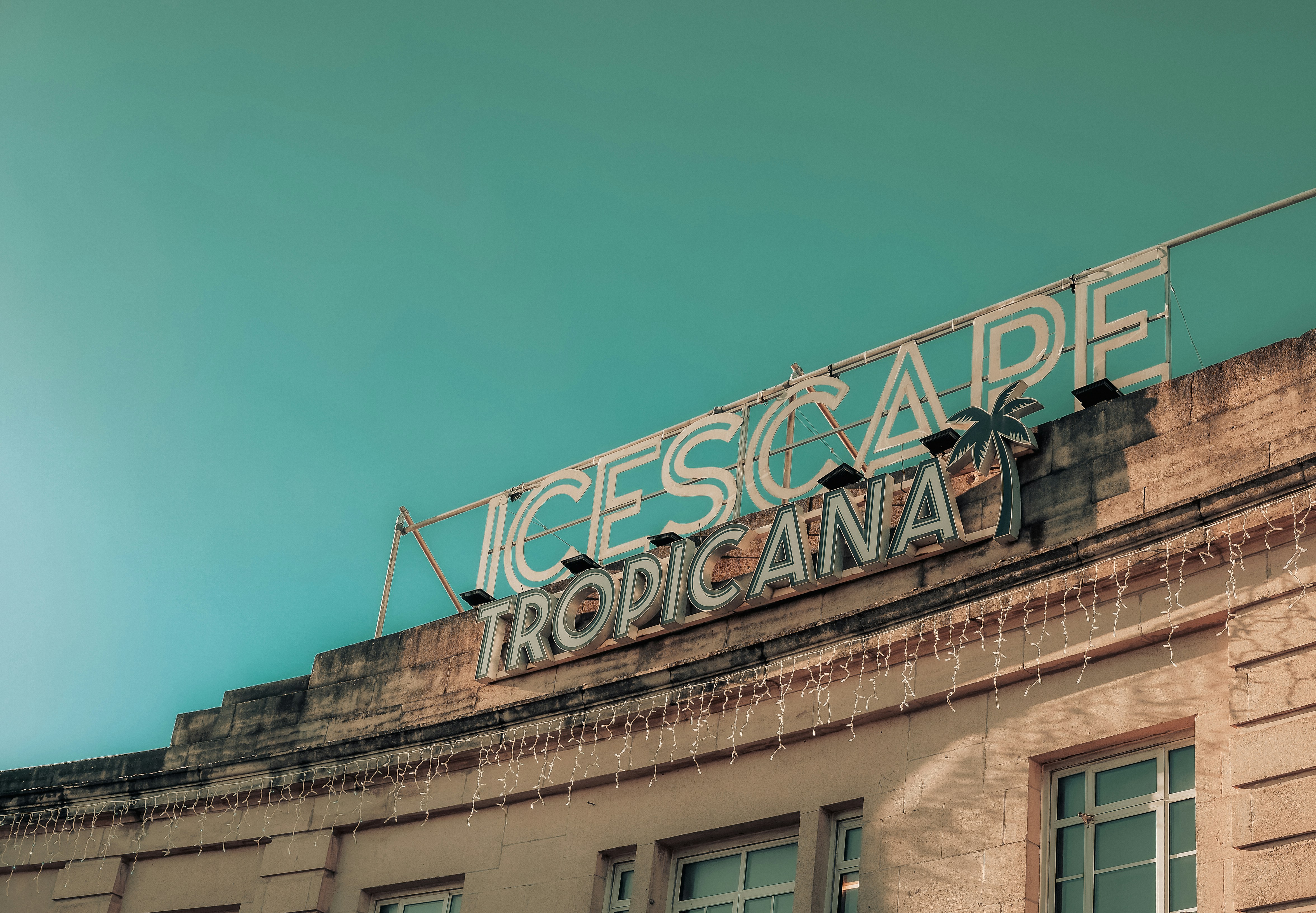 Tropical Nostalgia: The Icescape SignageNik