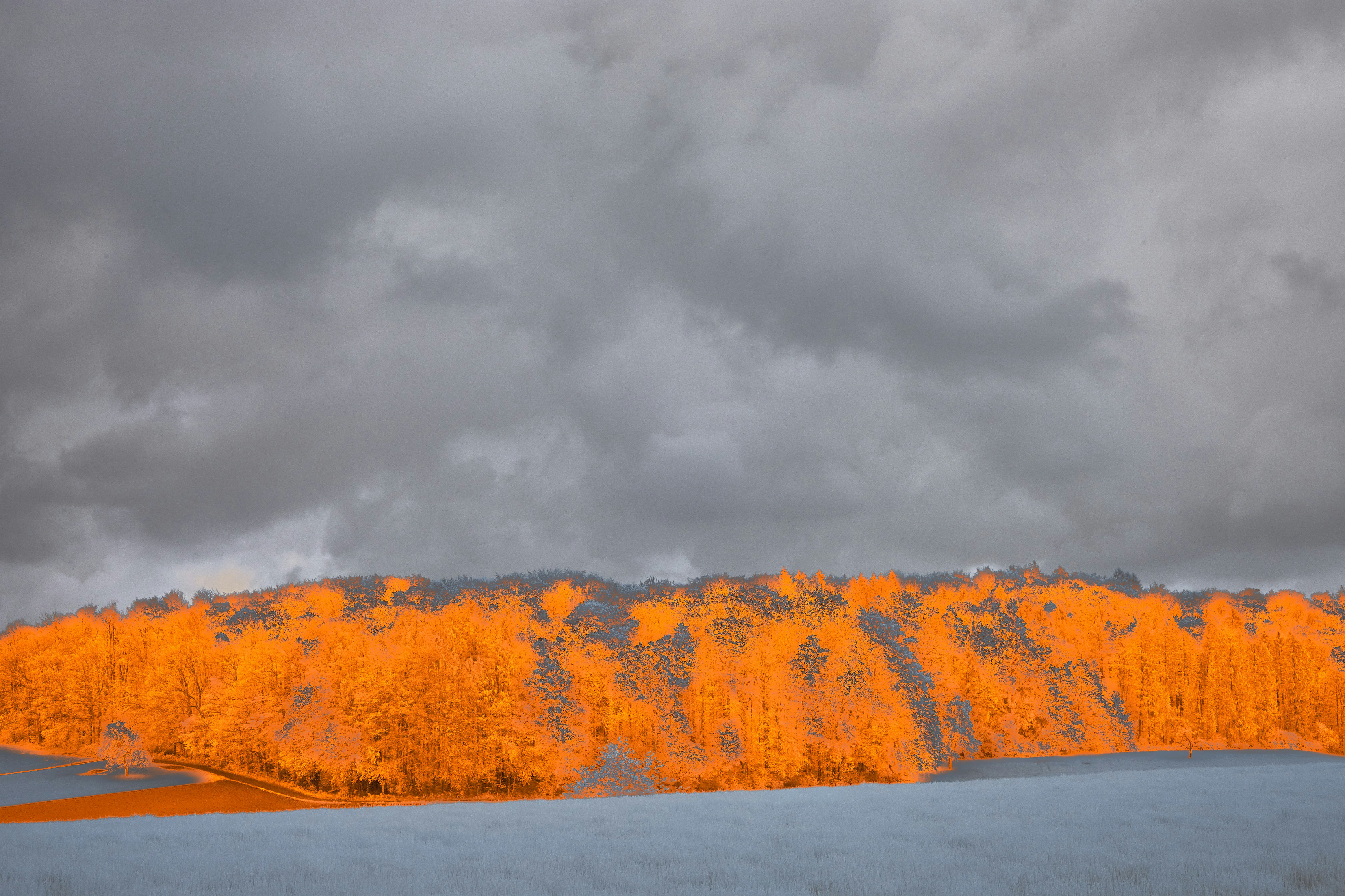 Photo by Wolfgang Hasselmann with Sony Alpha 7 II