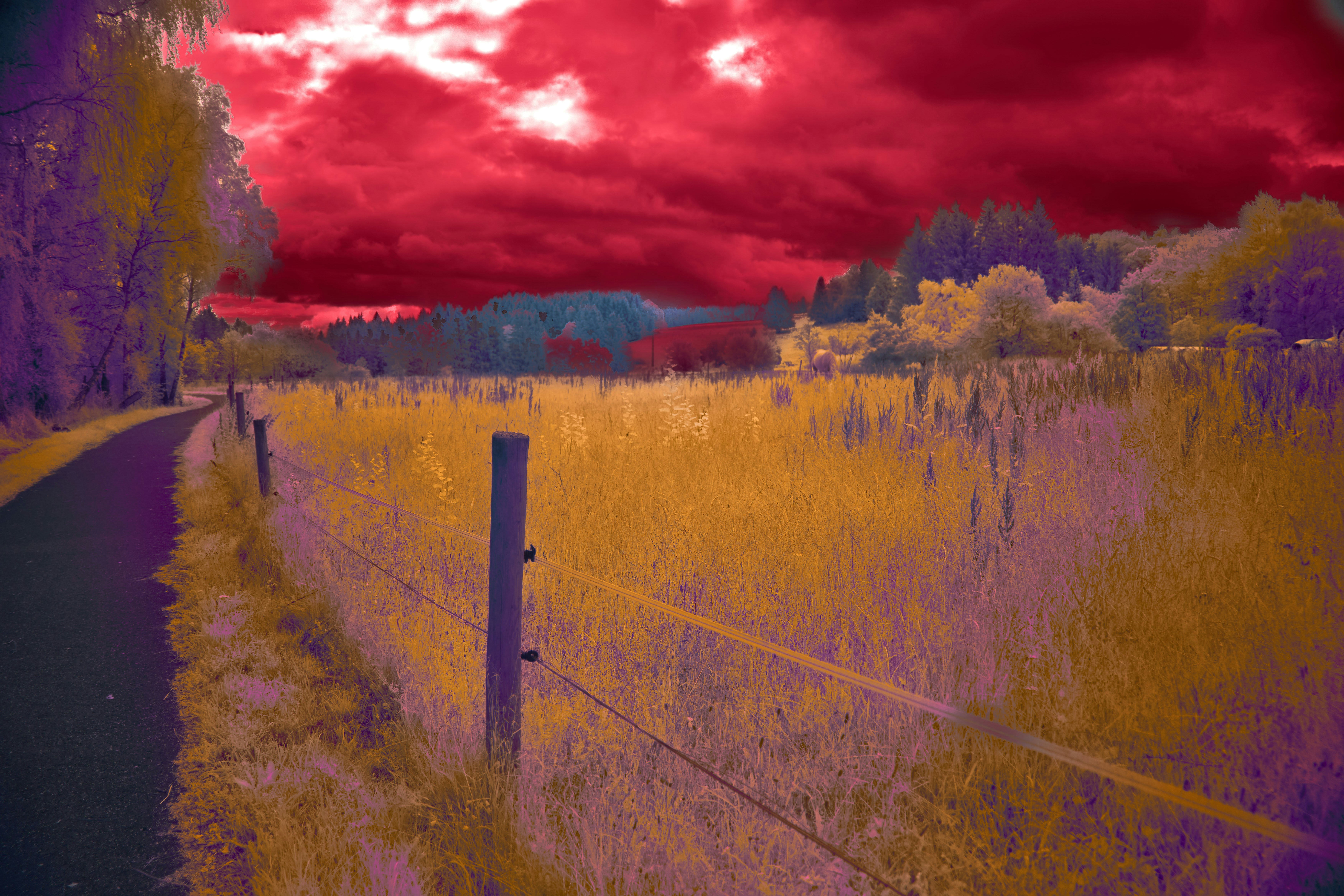 Photo by Wolfgang Hasselmann with Sony Alpha 7 IV