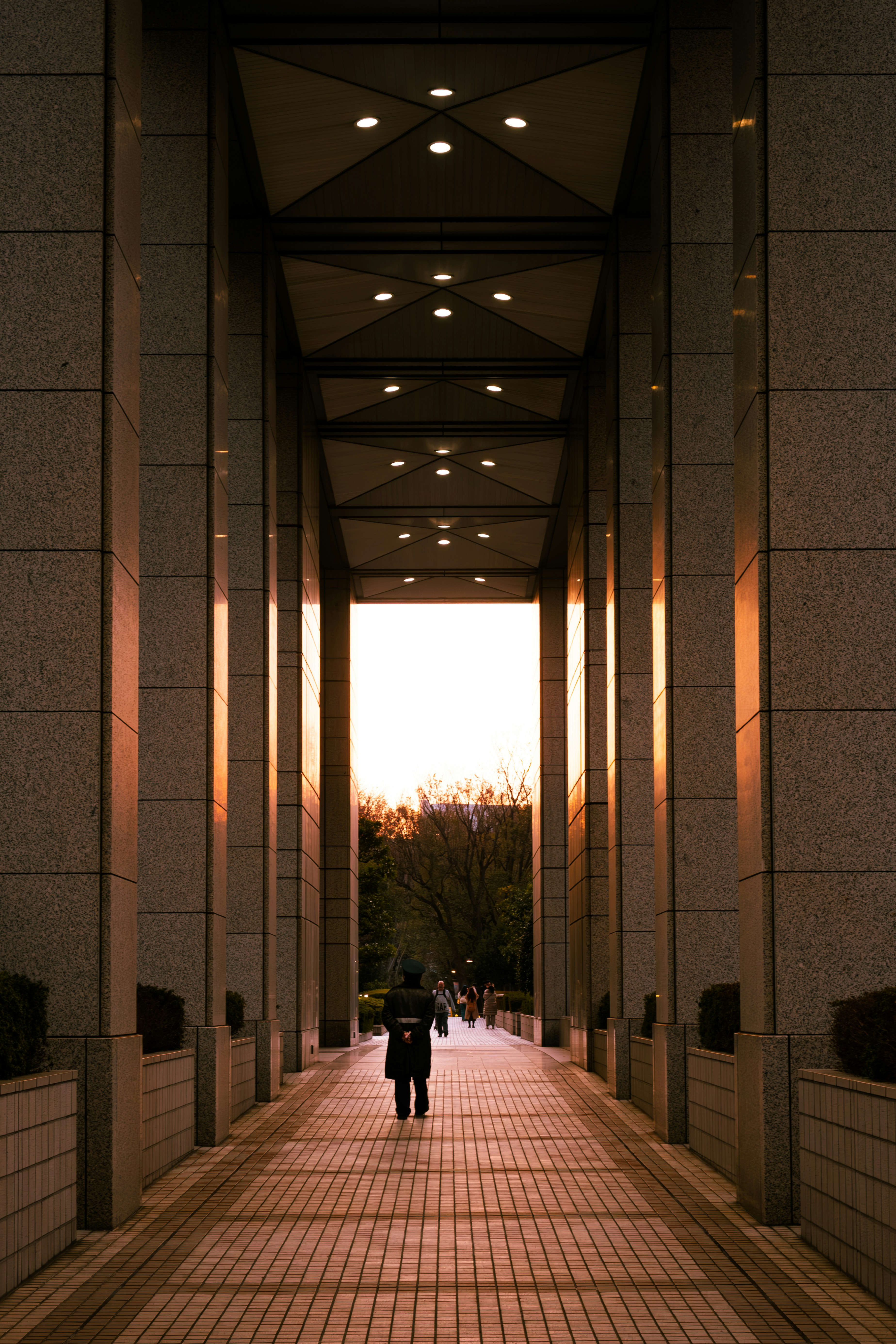 The guard watches government building