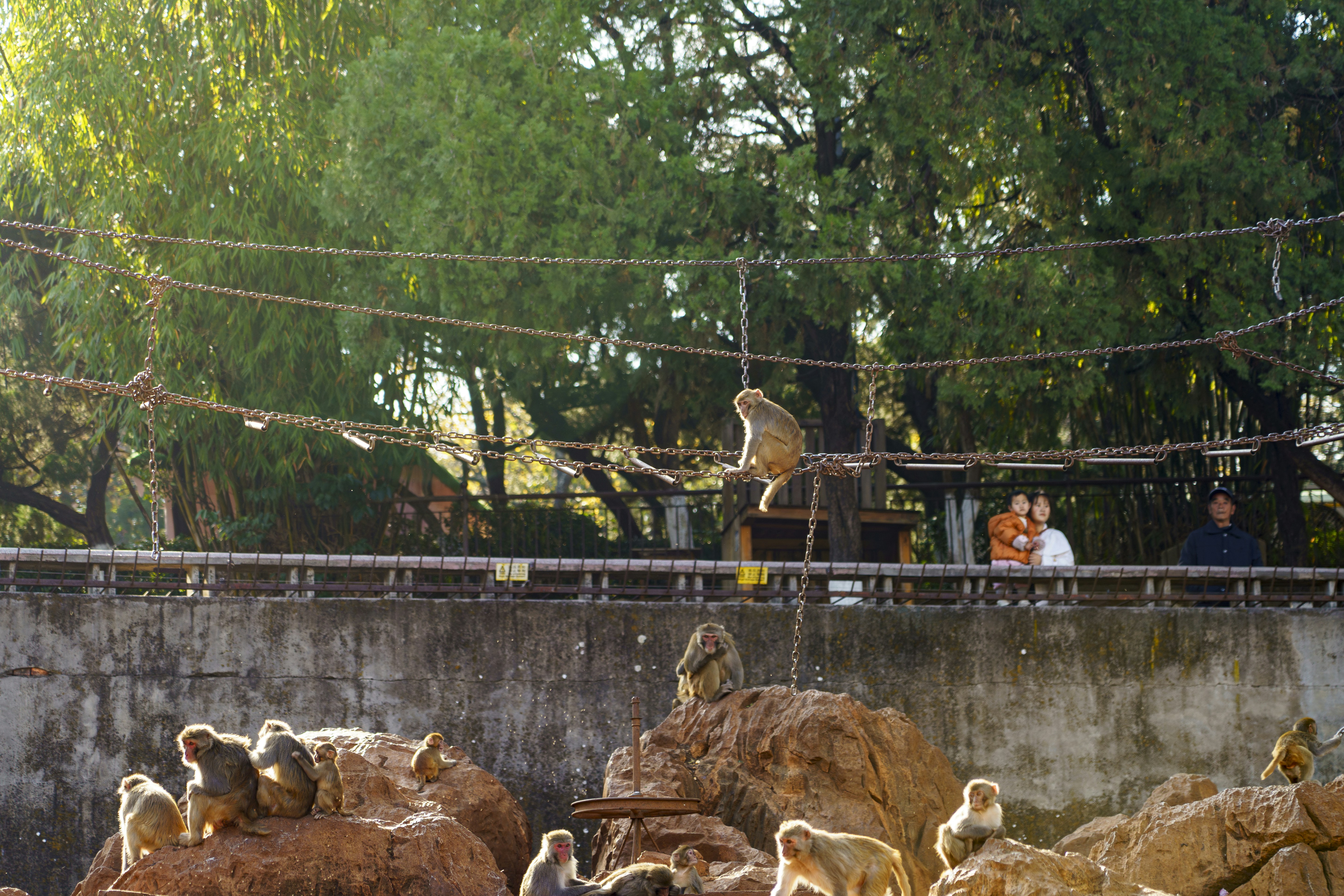 Photo by Yihan Wang with Sony Alpha 7 III