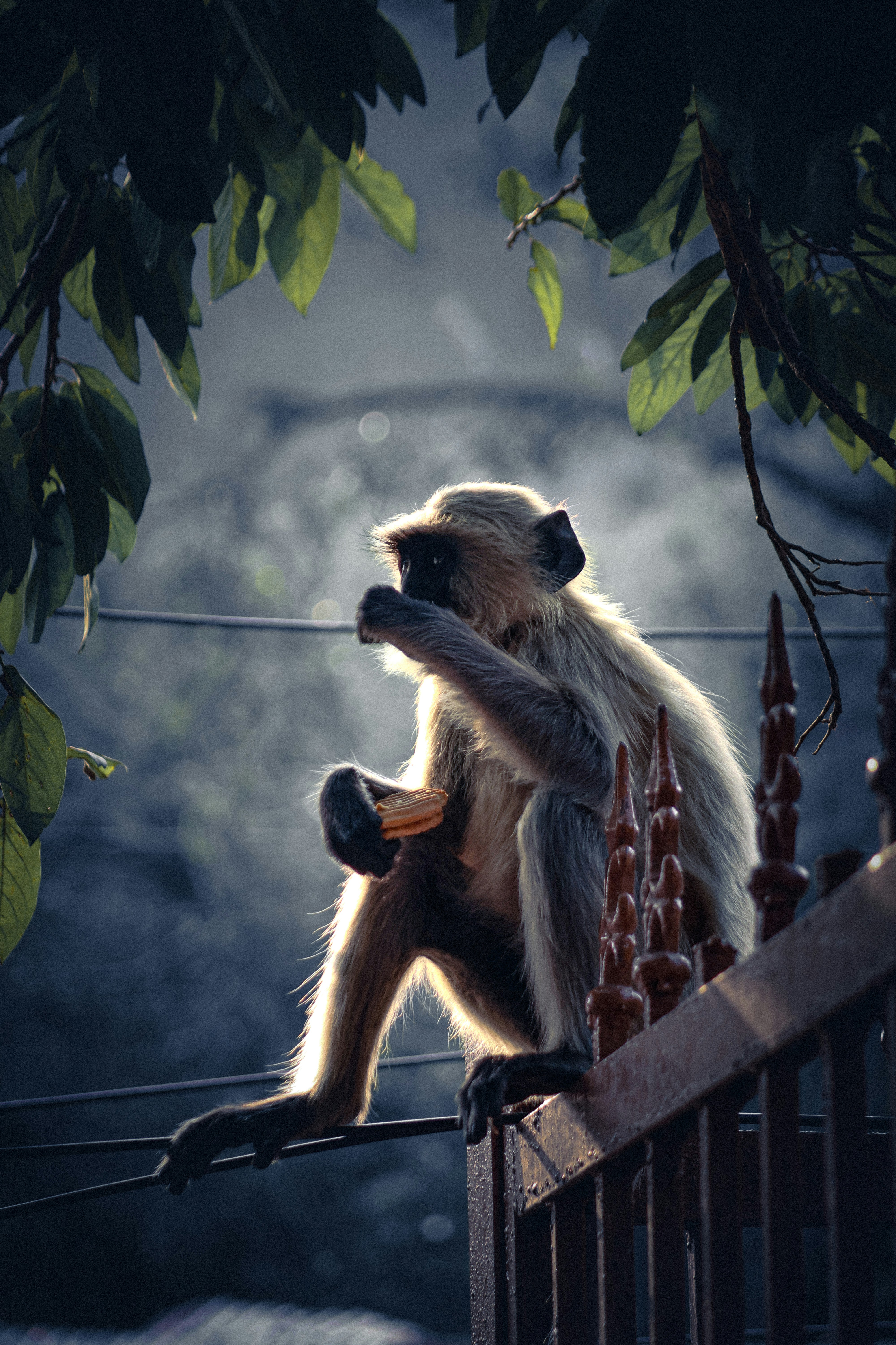 Photo by RPM FX with Canon EOS R10