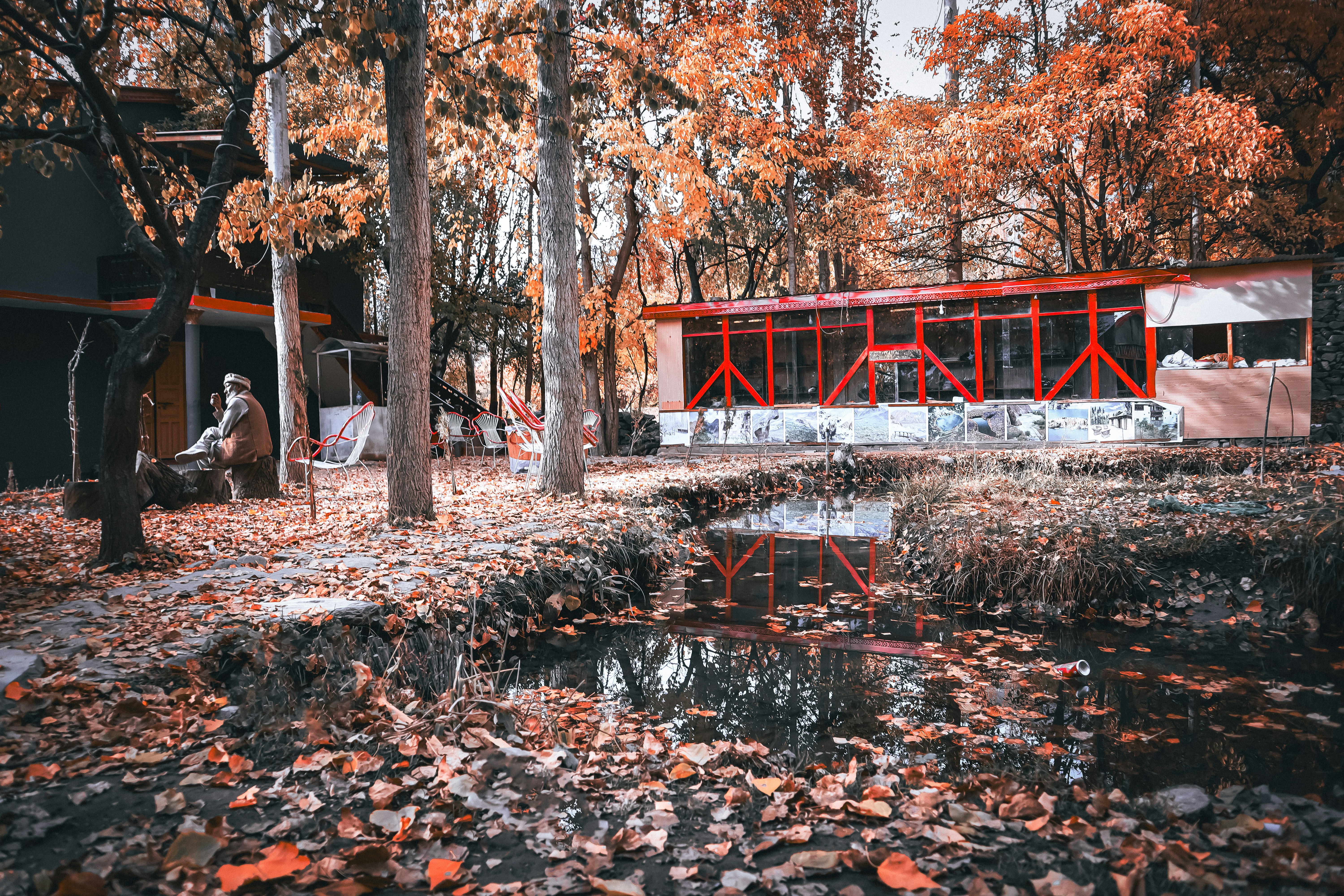 Crimson Frames Over a Quiet Autumn Pond