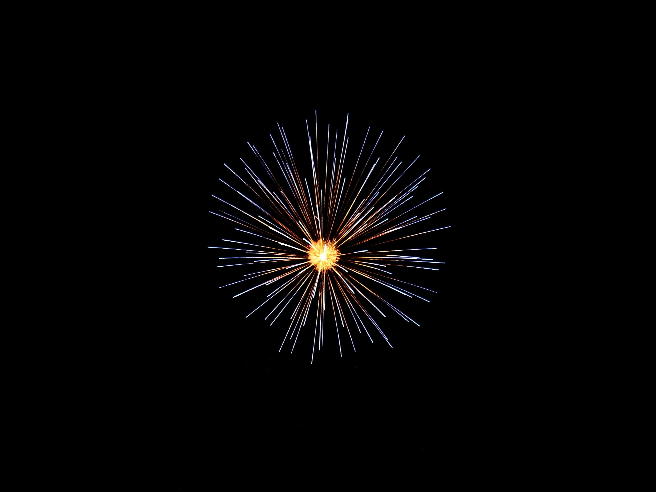 A long-exposure photograph of a single firework burst radiating from a bright core against a black night sky.