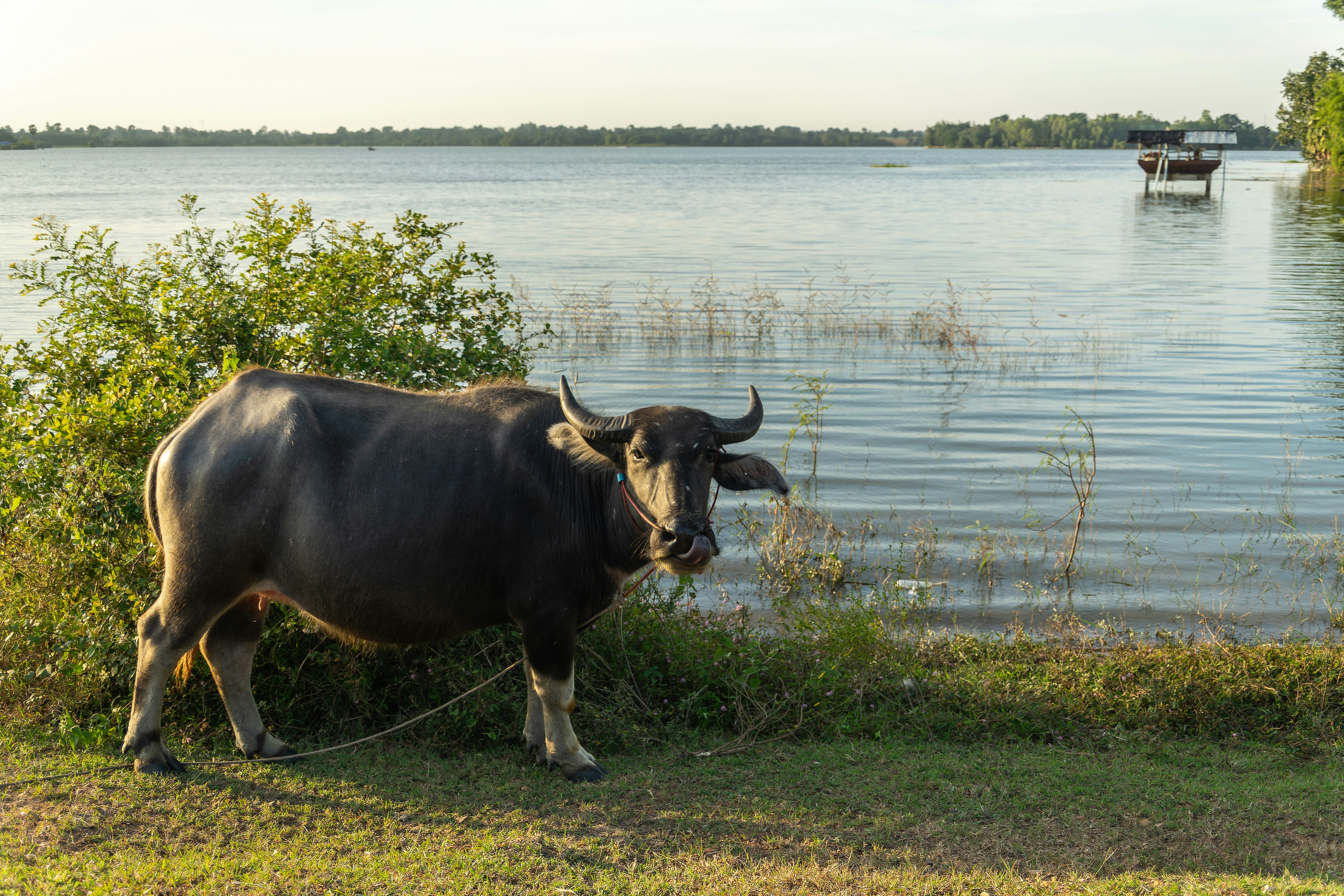 Ian McRoman (@superfeat) | Unsplash 사진 커뮤니티