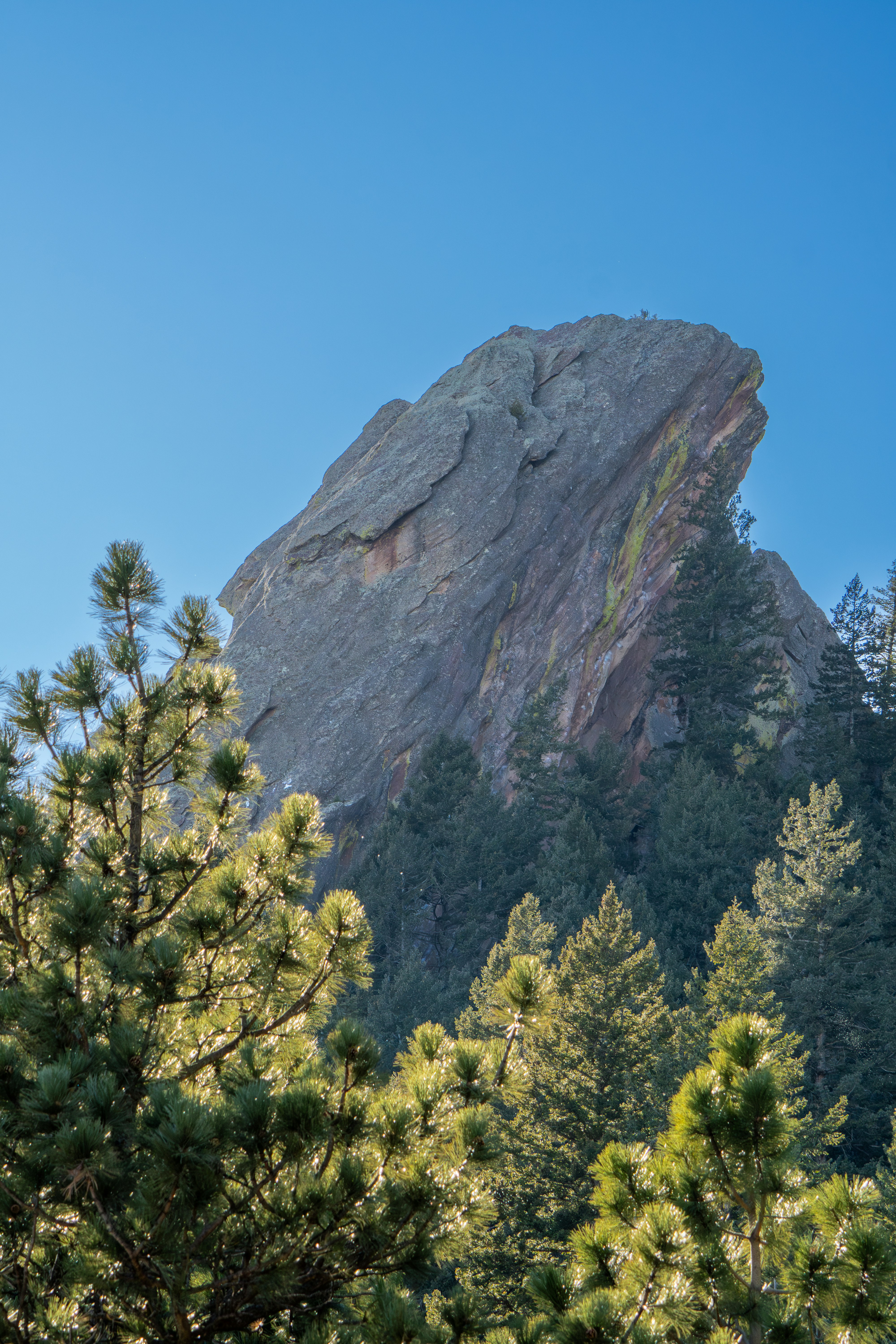 Foto Batu besar di tengah hutan – Gambar Hutan Gratis di Unsplash