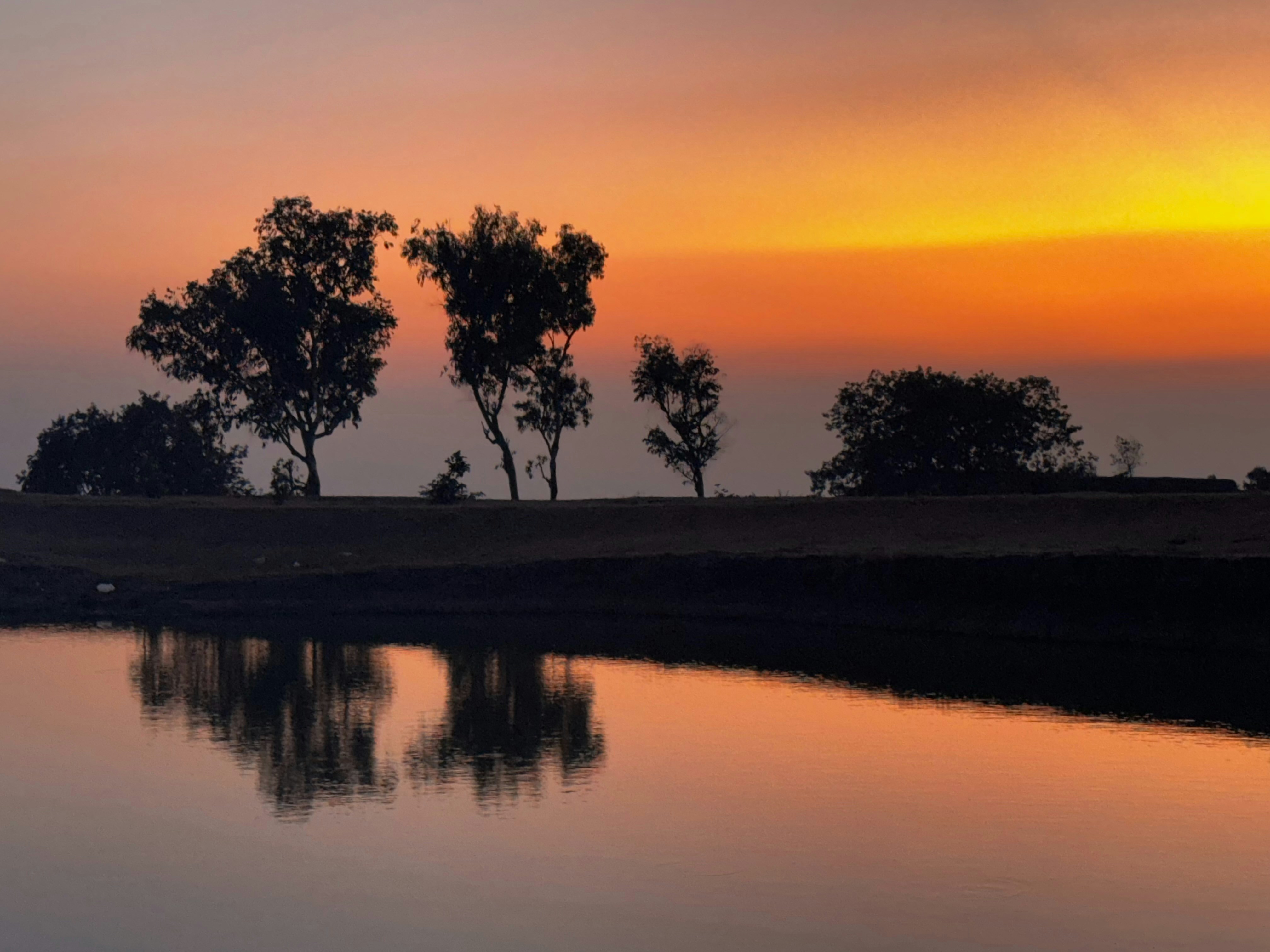 Un grupo de árboles que se encuentran junto a un cuerpo de agua foto ...