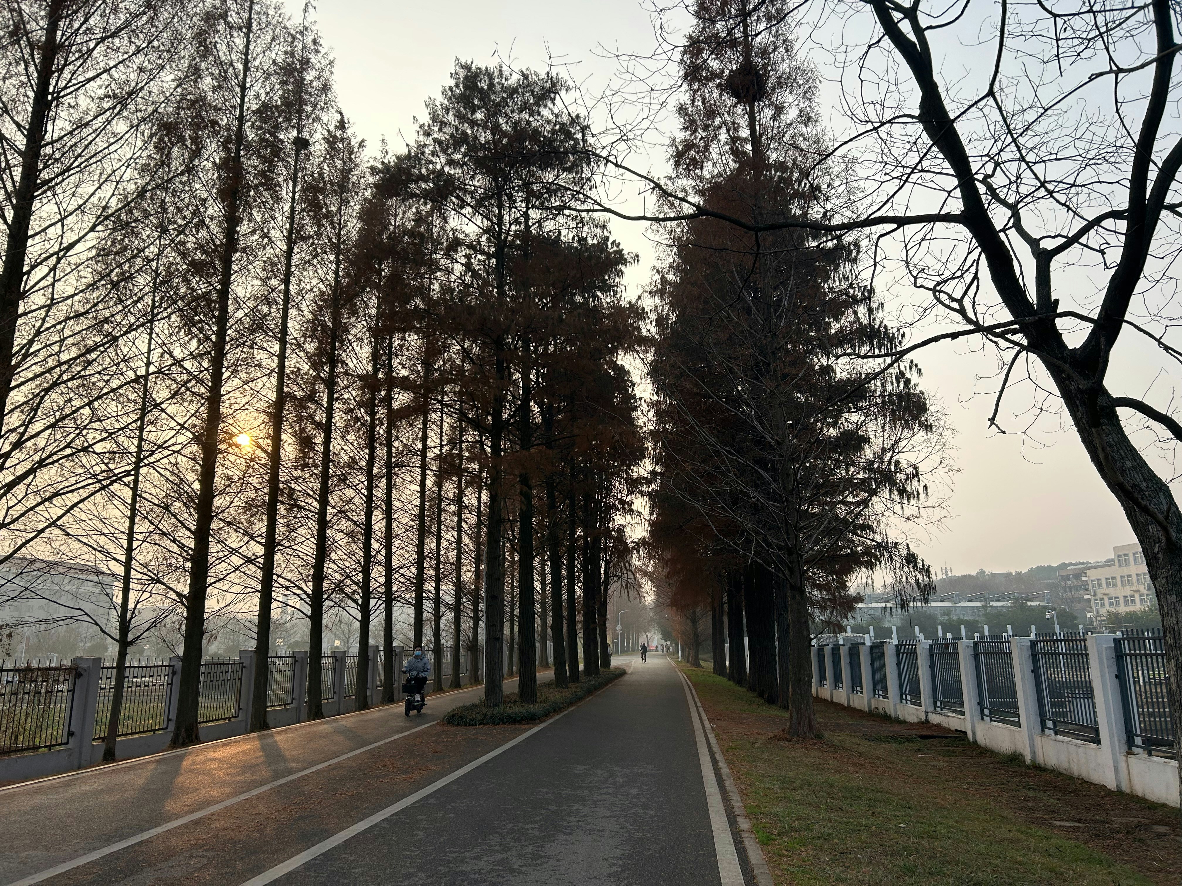 Photo by w p with Apple iPhone 14 Plus