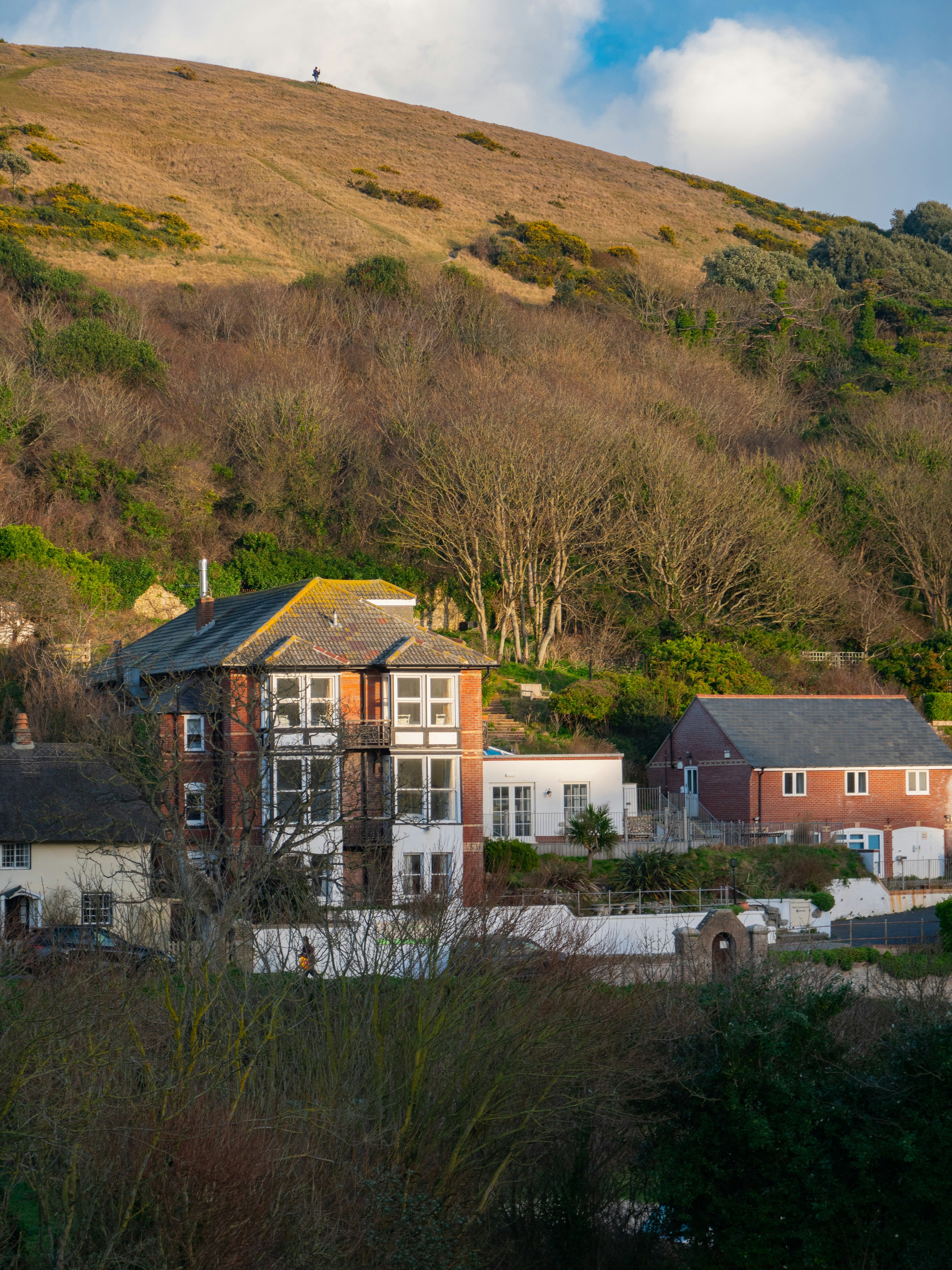 Sunlit Hillside Retreat