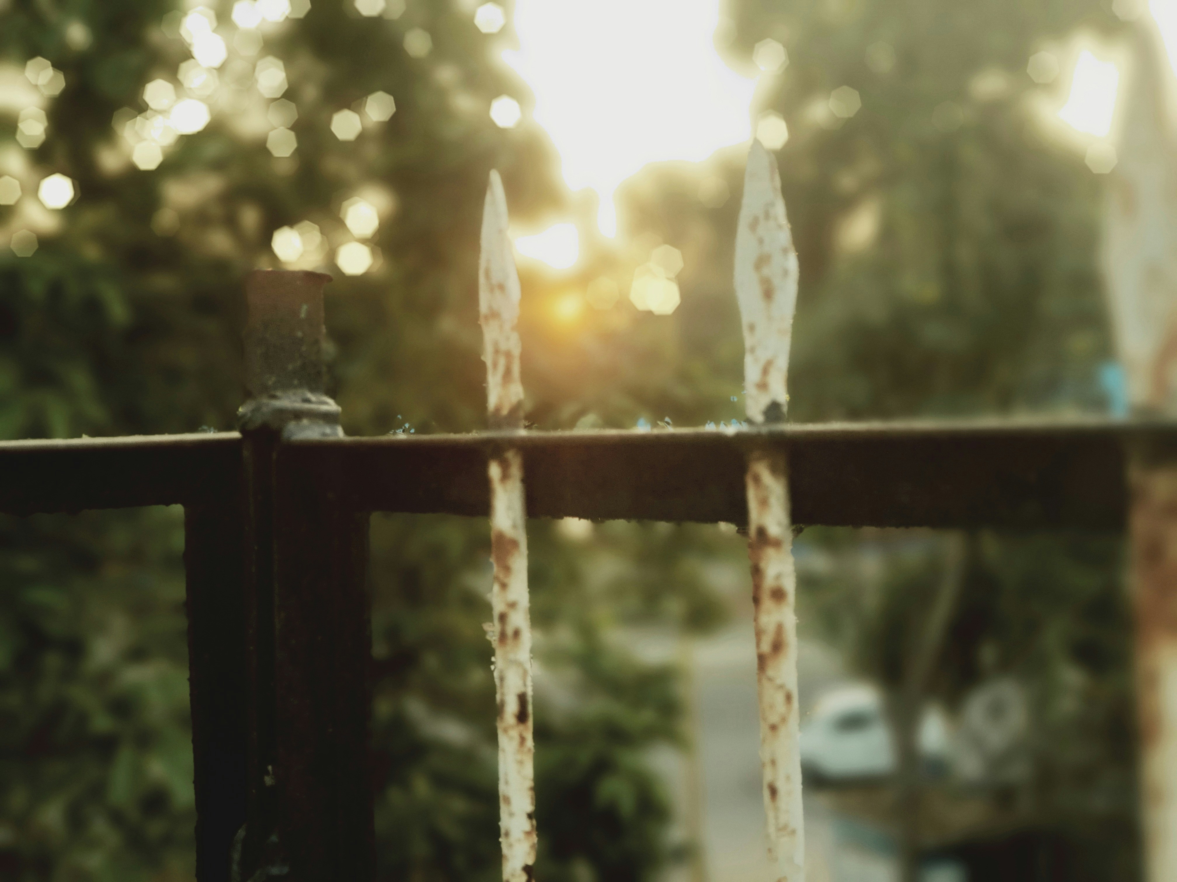 Rust and sunlit railings: a quiet gate to a blurred garden