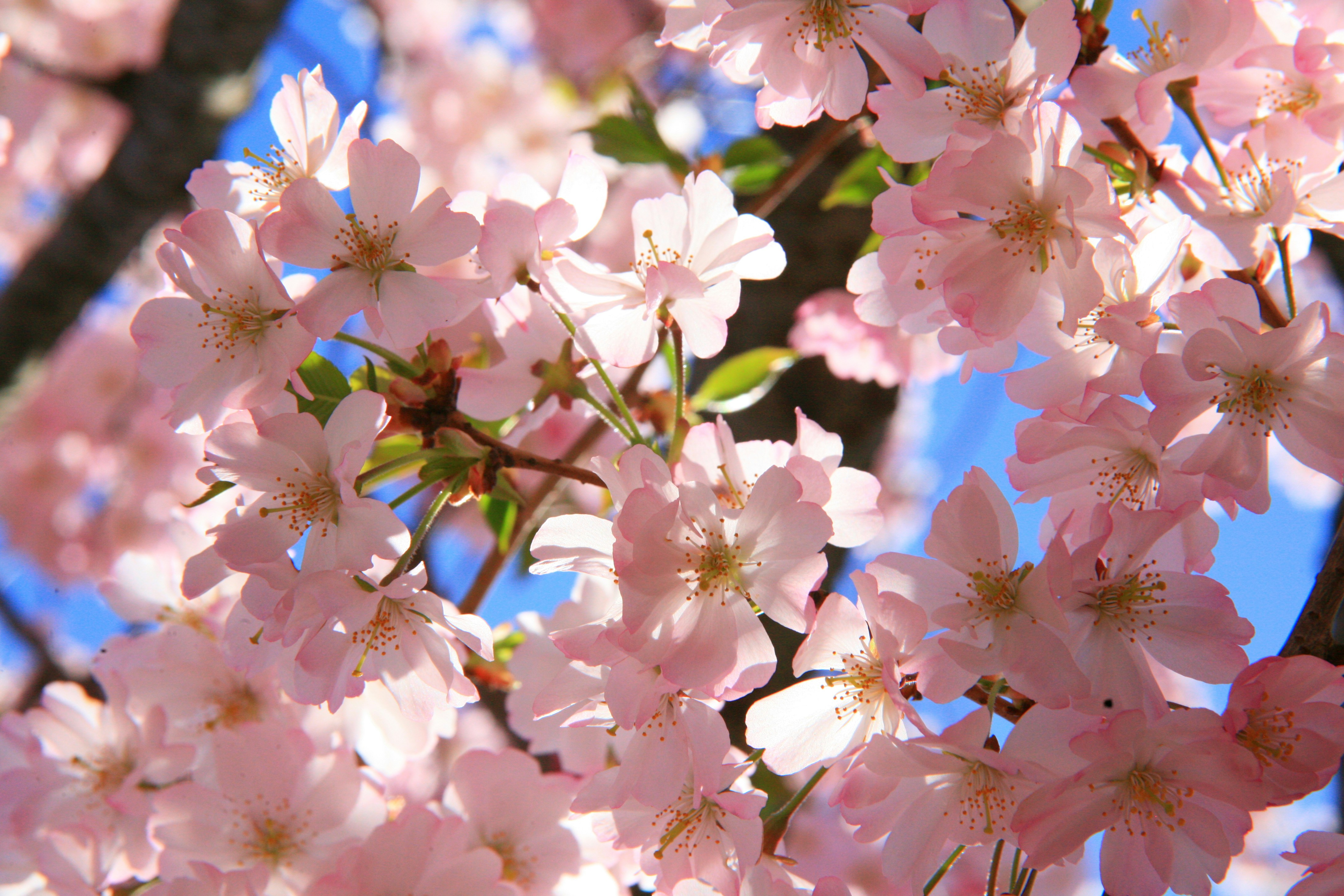 Photo by In Memory of Yan Ji with CANON EOS 5D