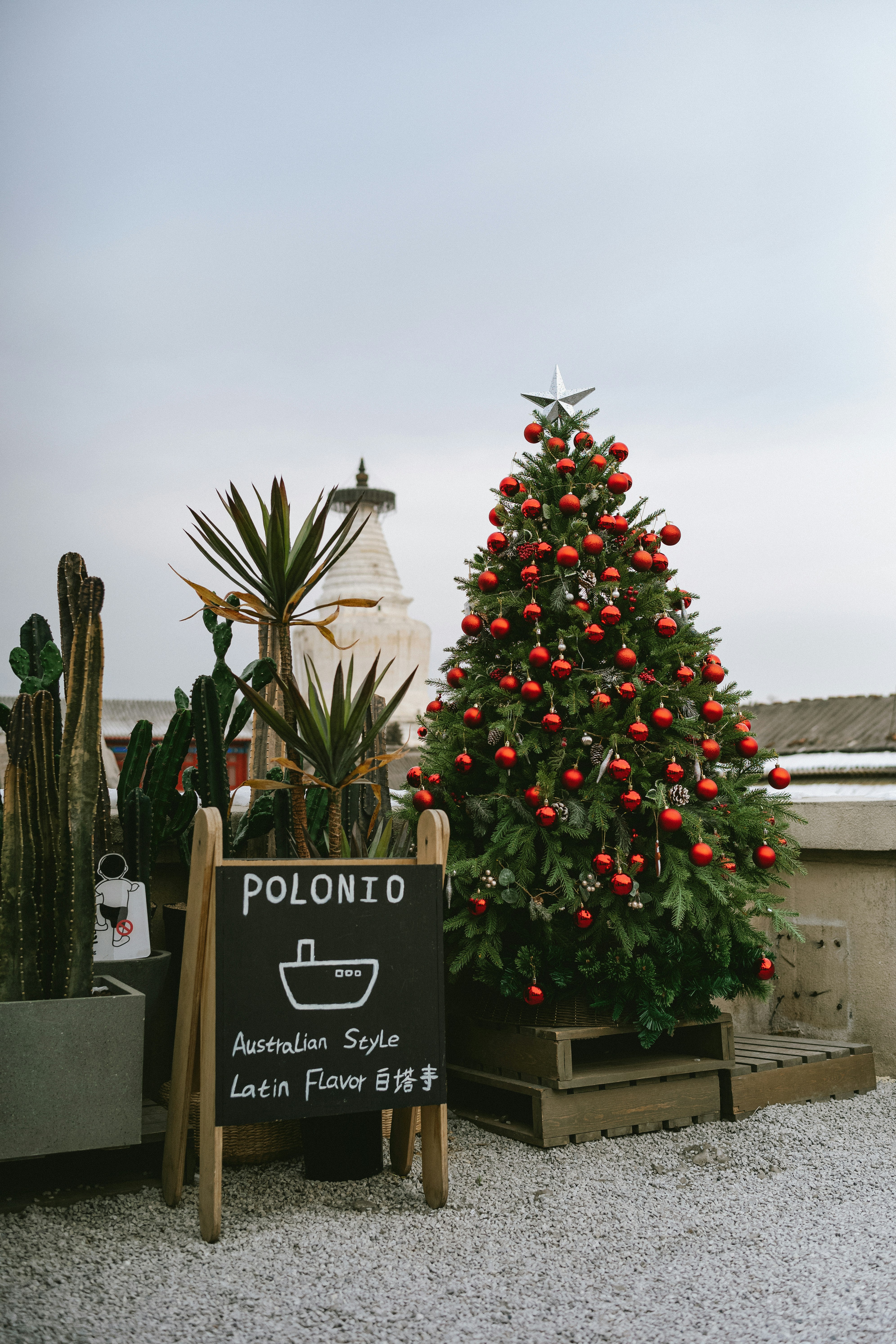 A Festive Corner: Christmas Tree and Chalkboard Sign at a Rooftop Market