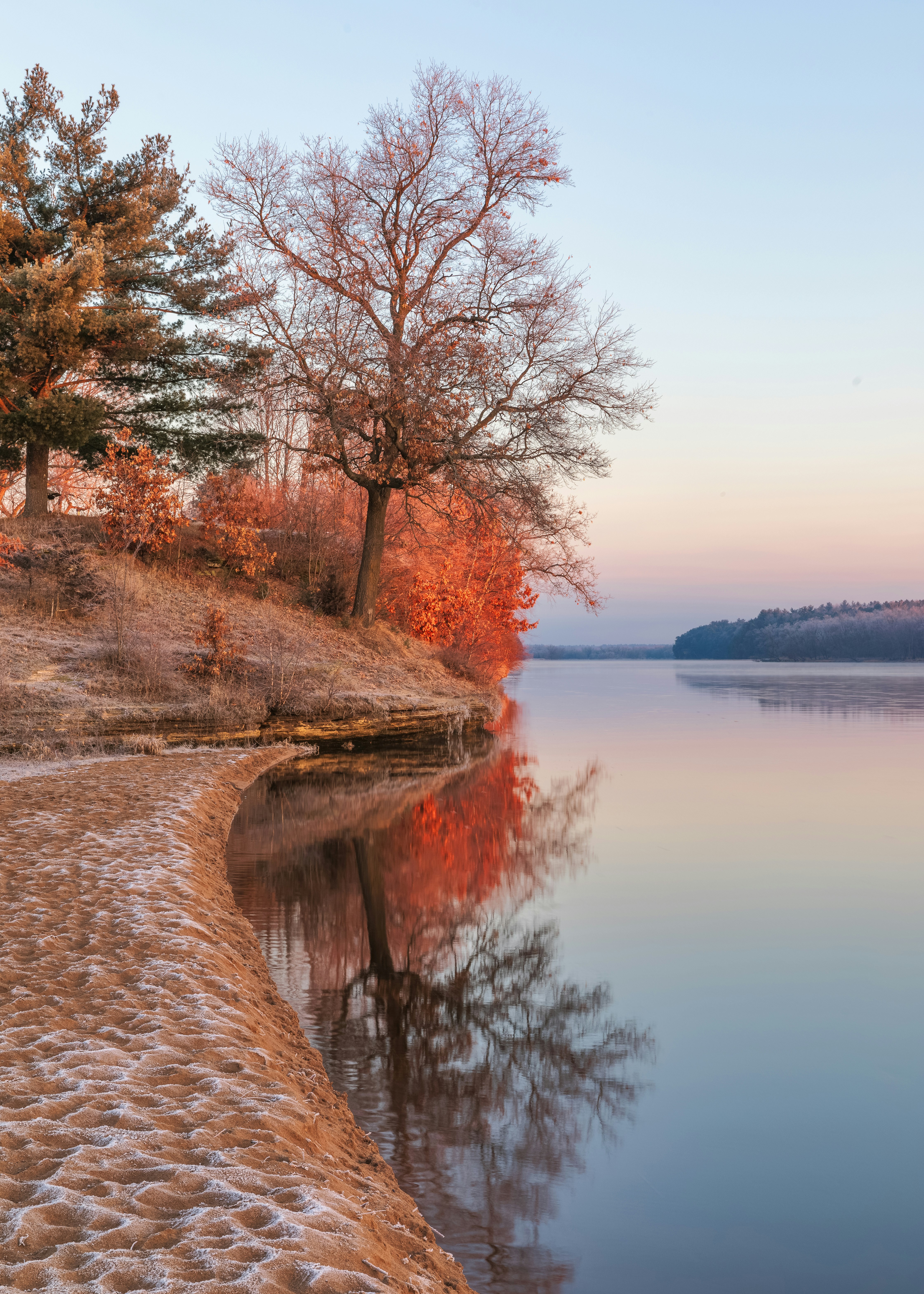 Dawn on Frosted Shore: Autumn Trees Mirror in a Still Lake