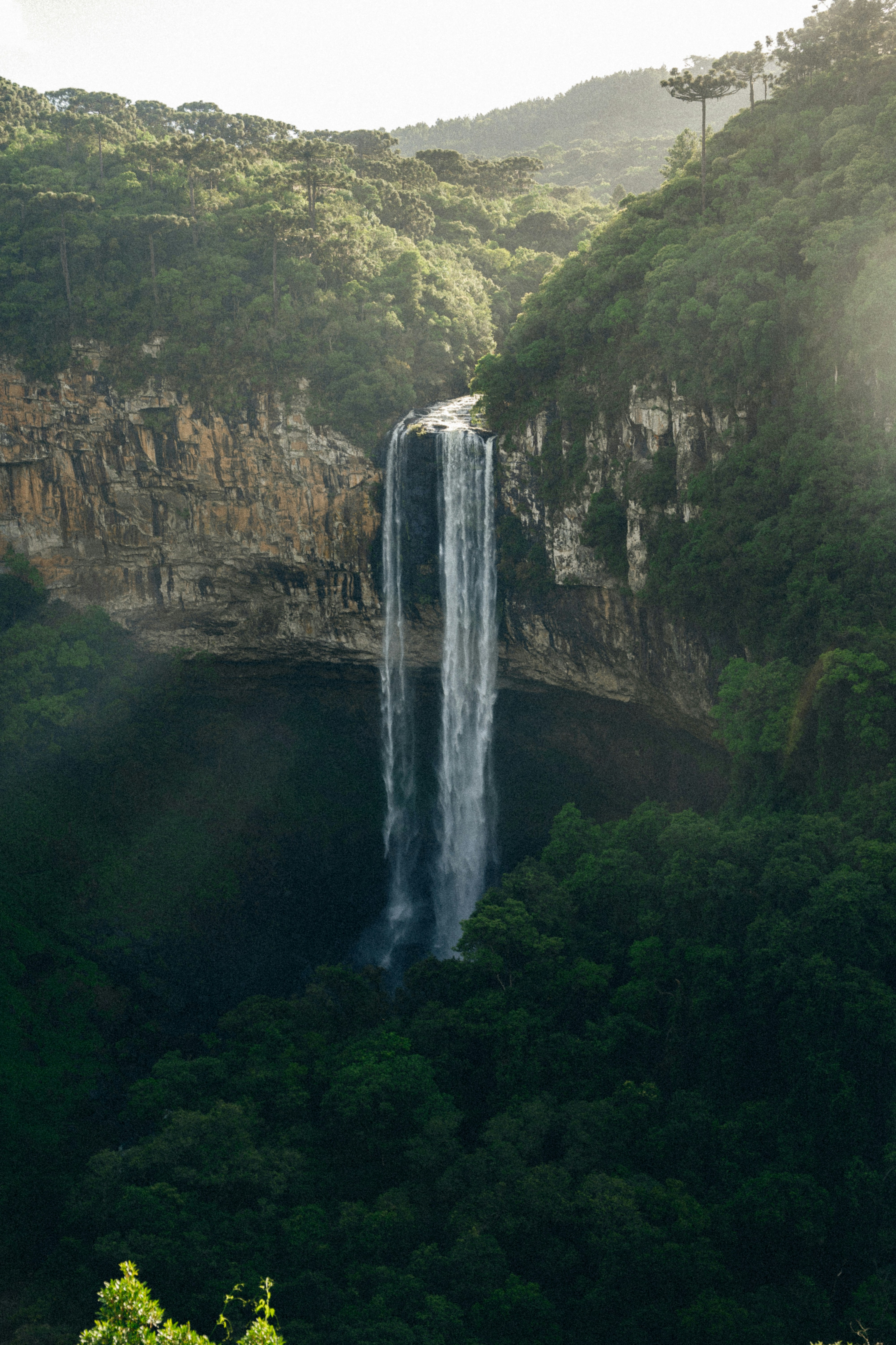 Tall waterfall plunging into dense green forest with sunlight filtering through trees.