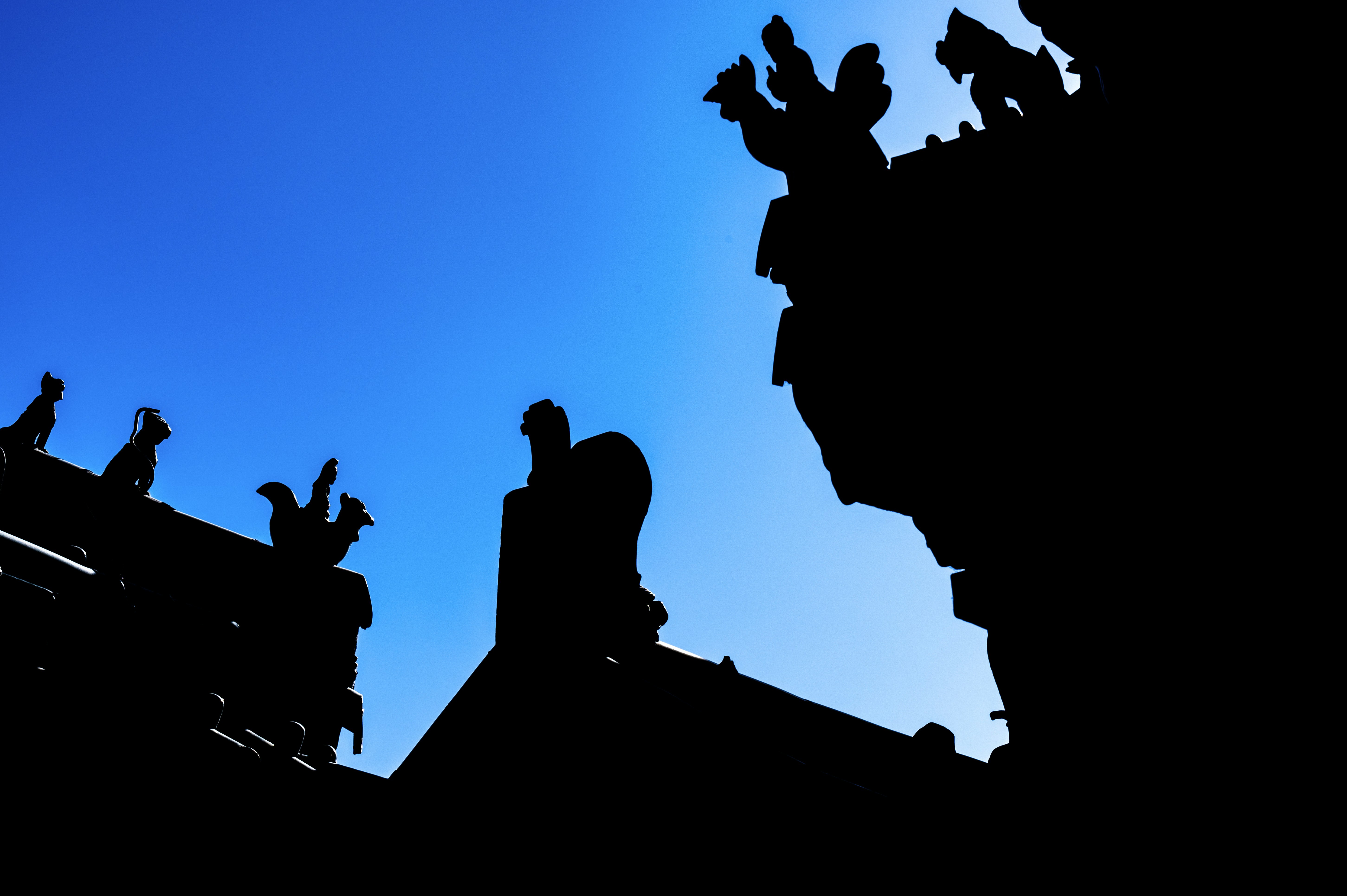 Photo by Kilian Murphy with Nikon Z6 II