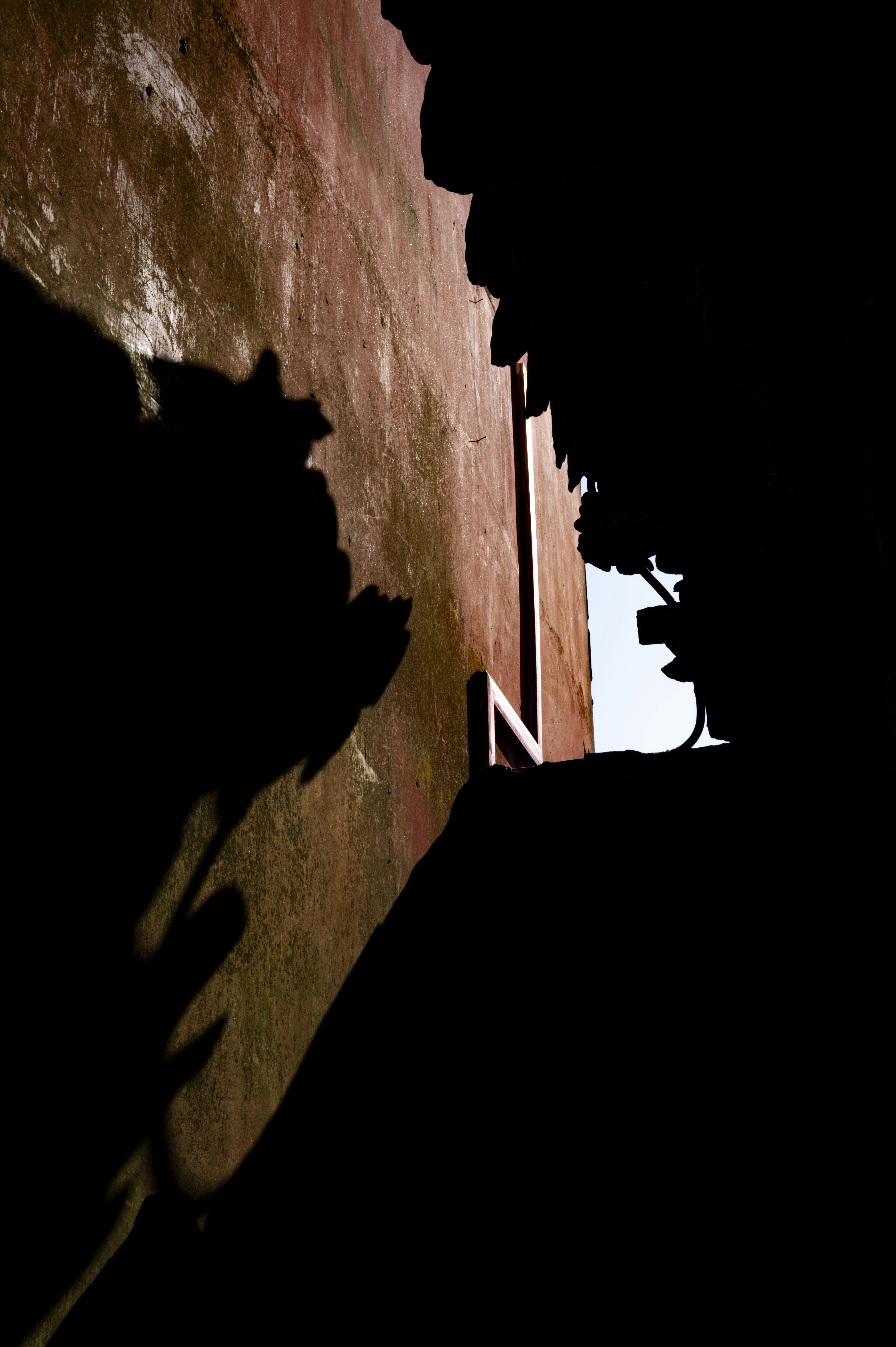 Photo by Kilian Murphy with Nikon Z6 II