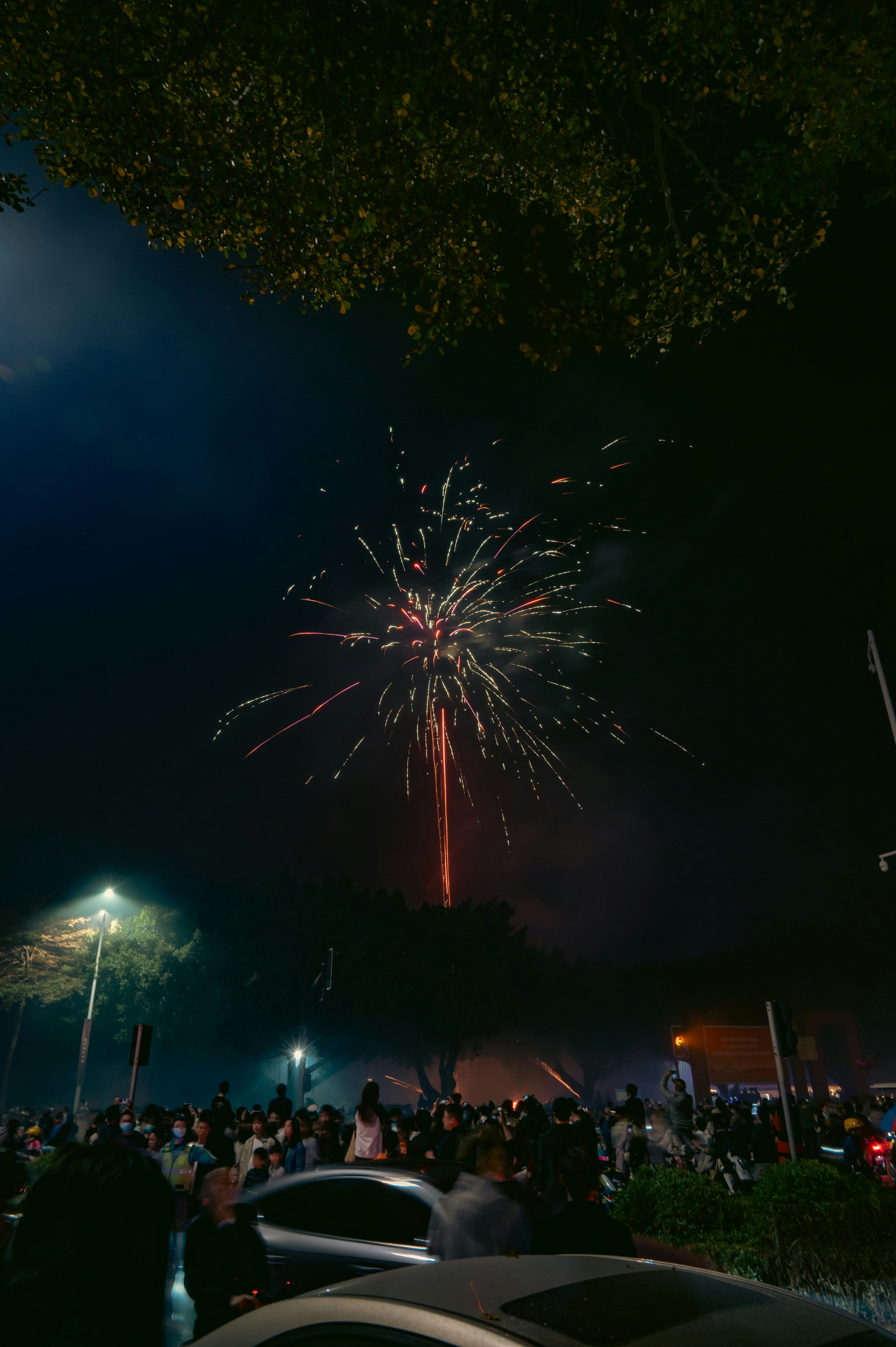 A crowd of people watching a fireworks display photo – Free Grey Image ...