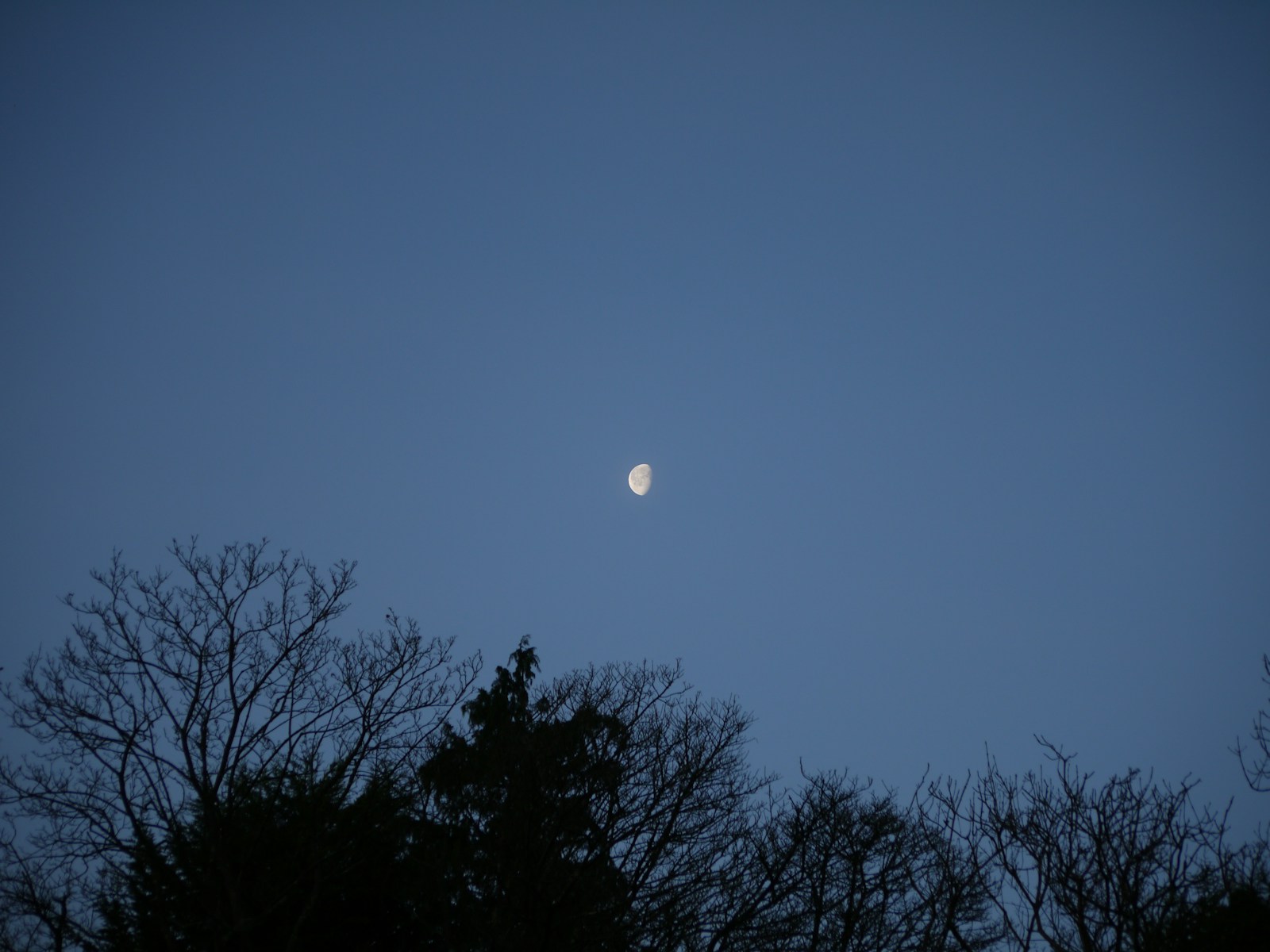 Panasonic Lumix G10