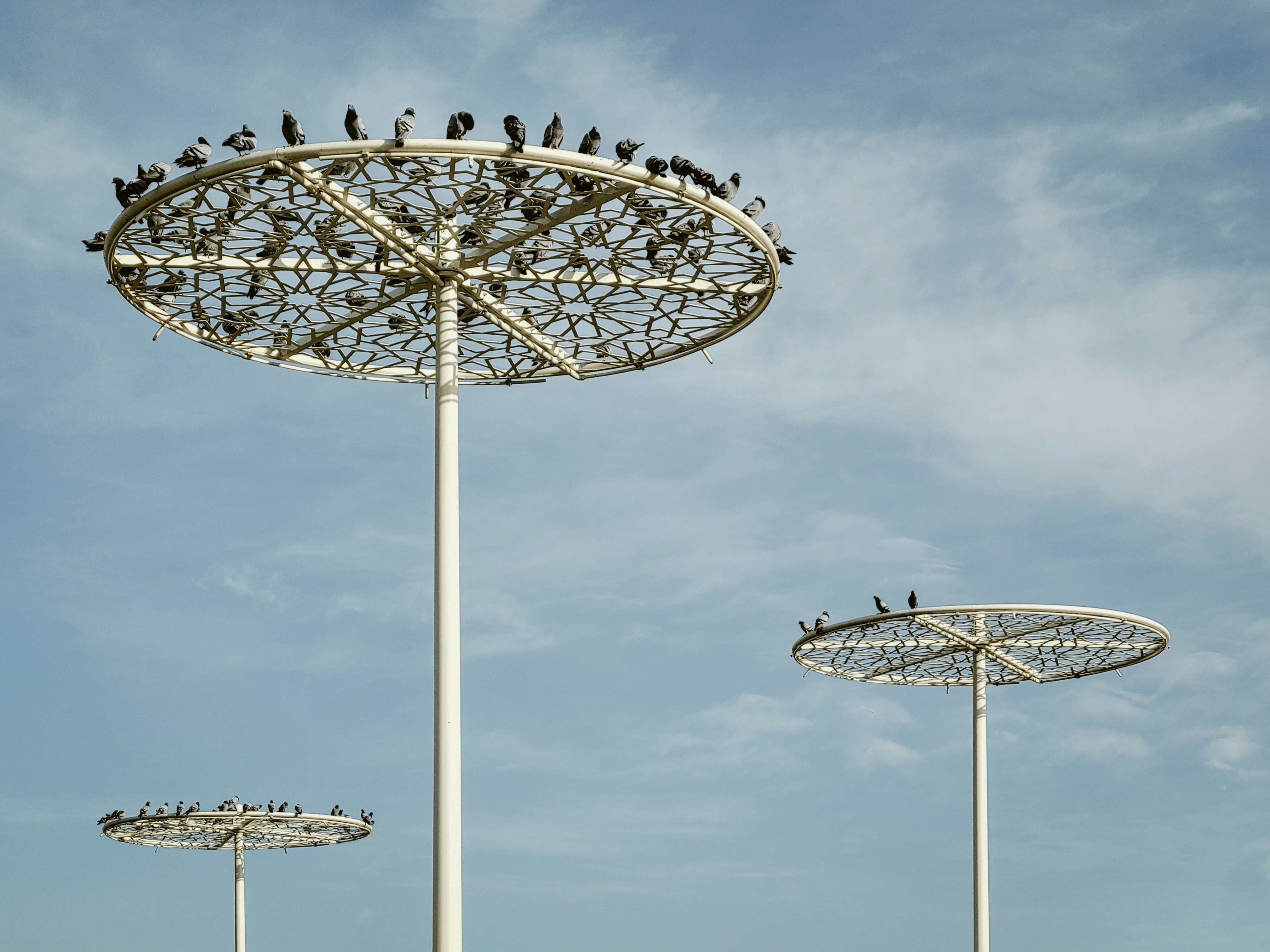Three Circular Lattices Crowned by Birds Against a Clear Sky