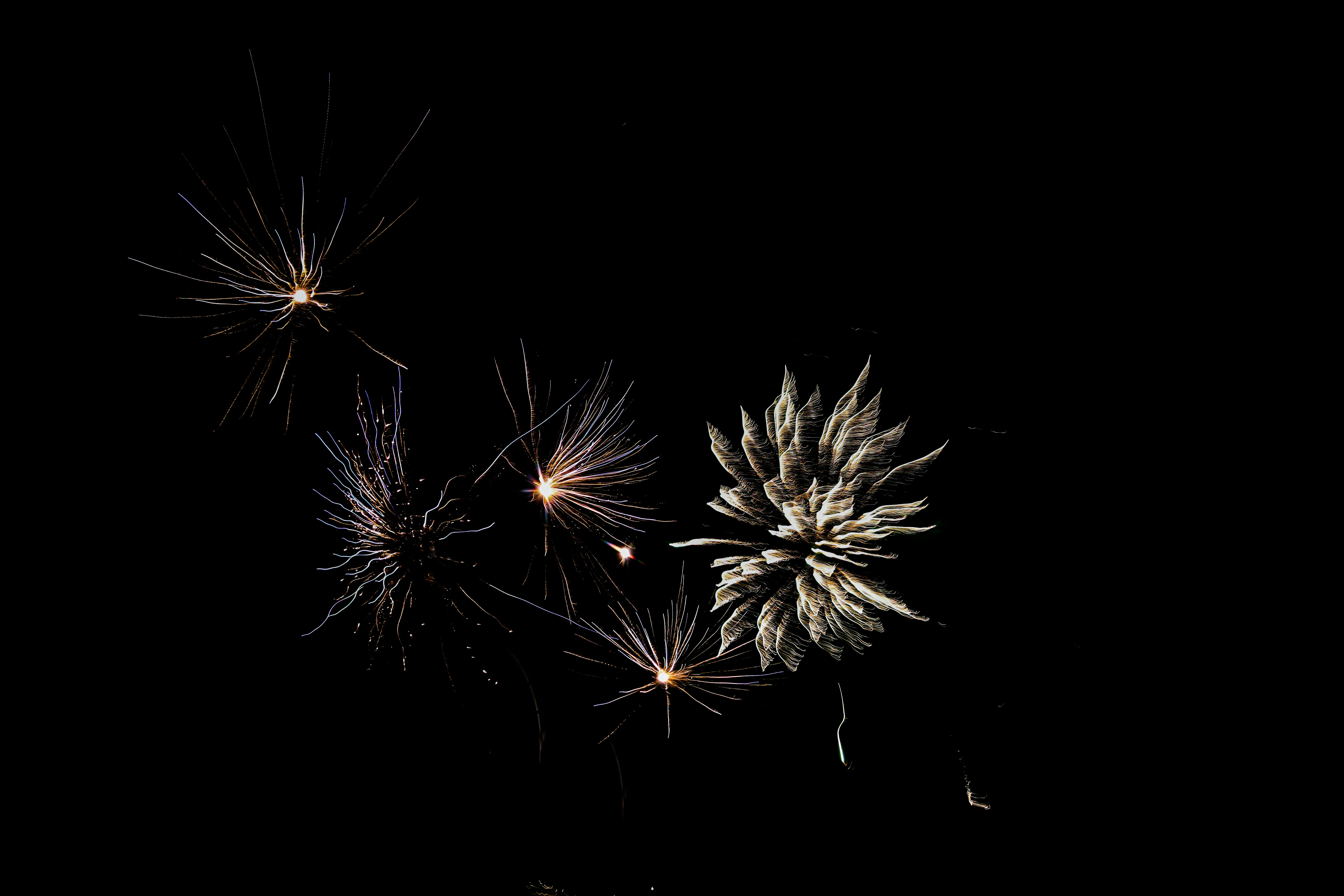 Bright fireworks explode in various patterns against a dark sky.