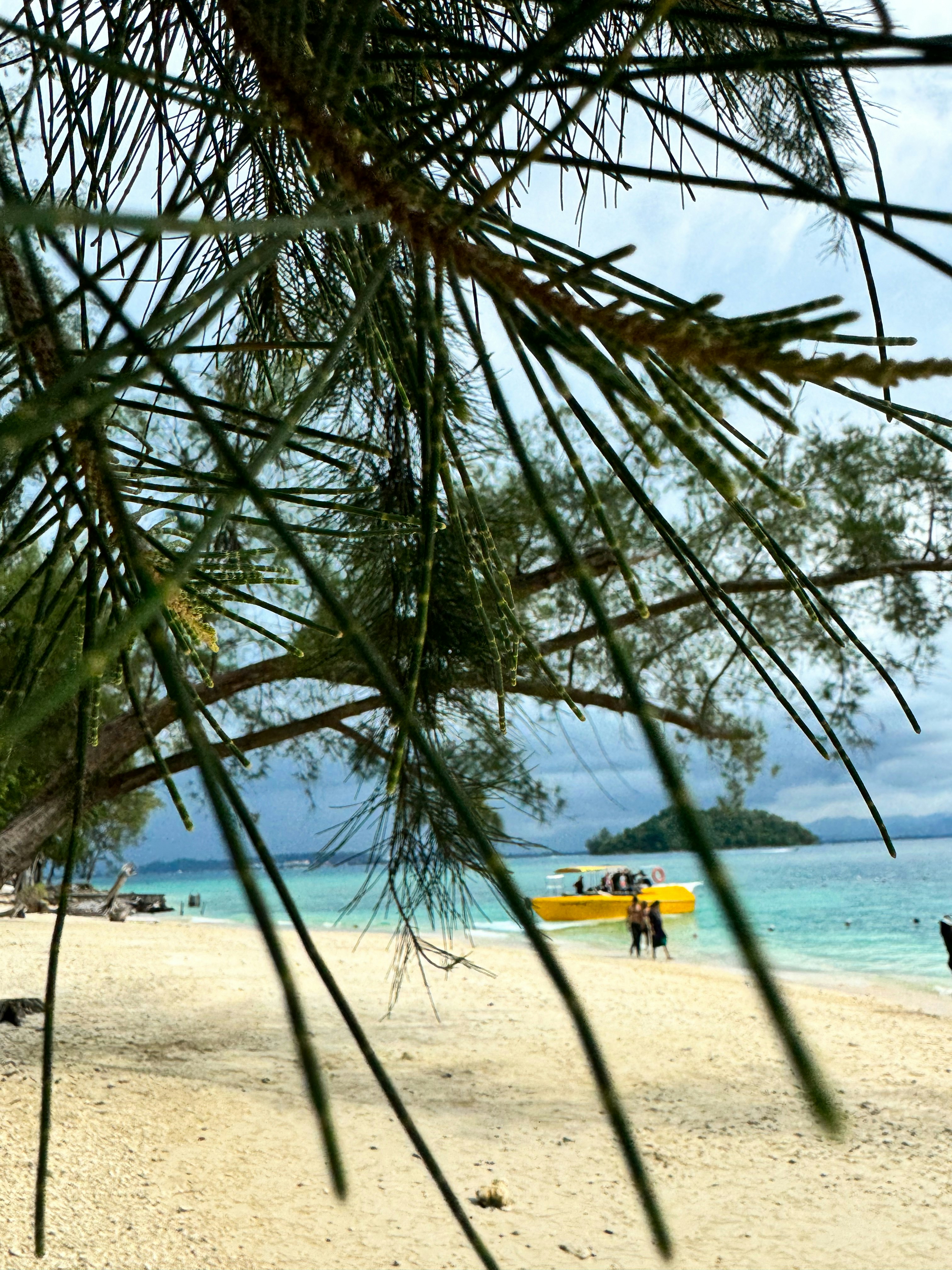 Emese Viski (@vskmesi) | Unsplash Photo Community