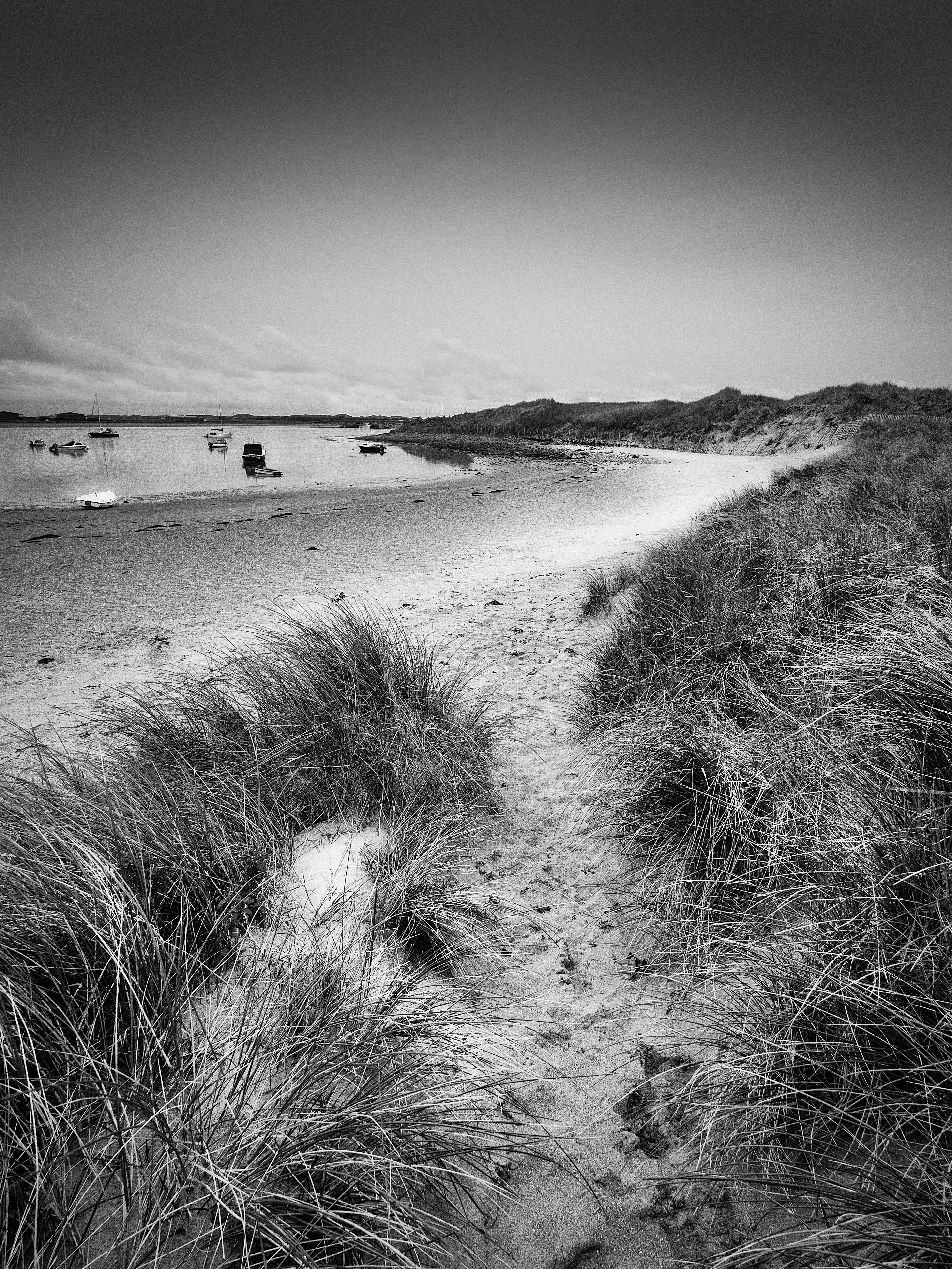 Dune Corridor to the Quiet Seaboard