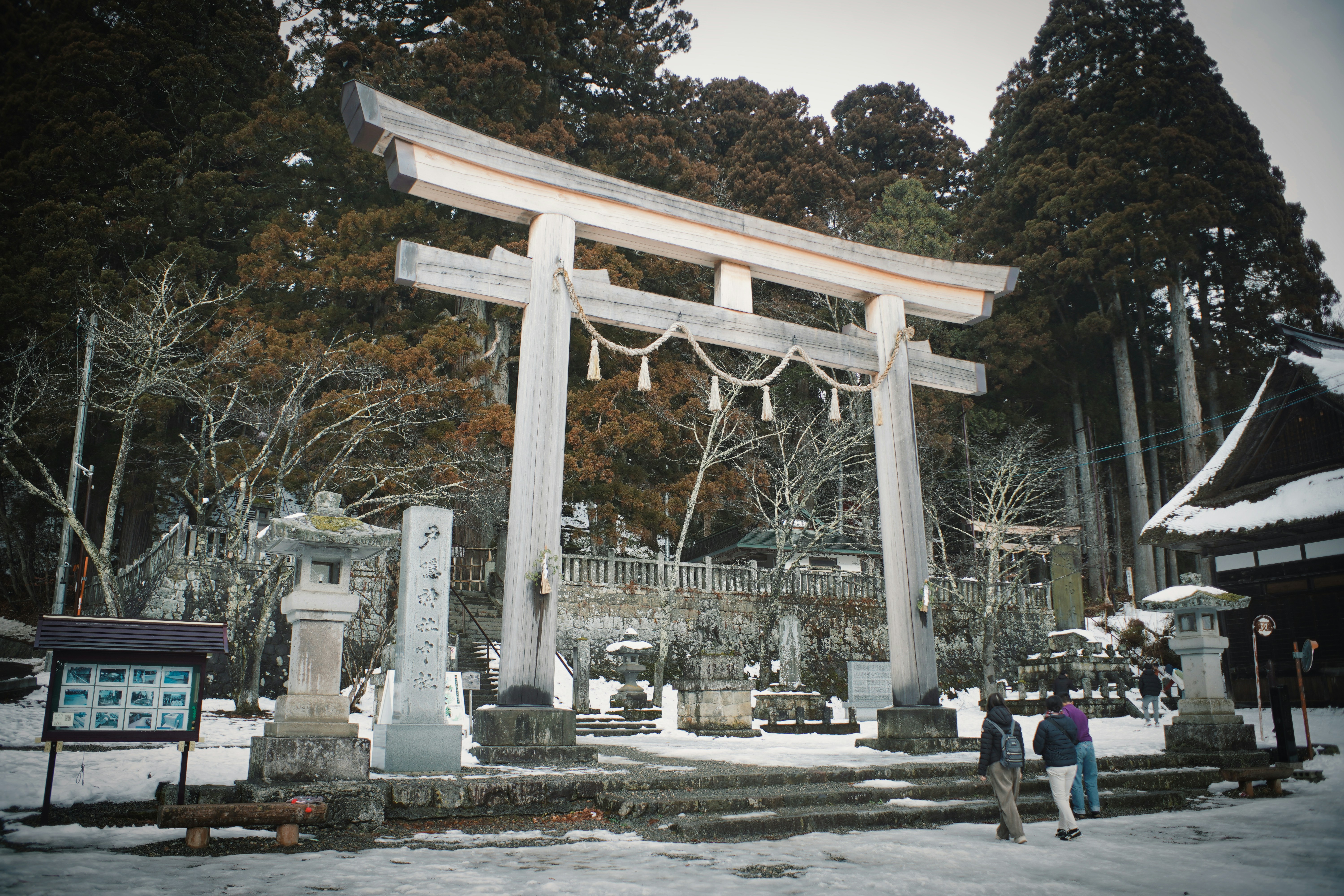 Snowbound Torii: Quiet Steps Toward a Shinto Gate