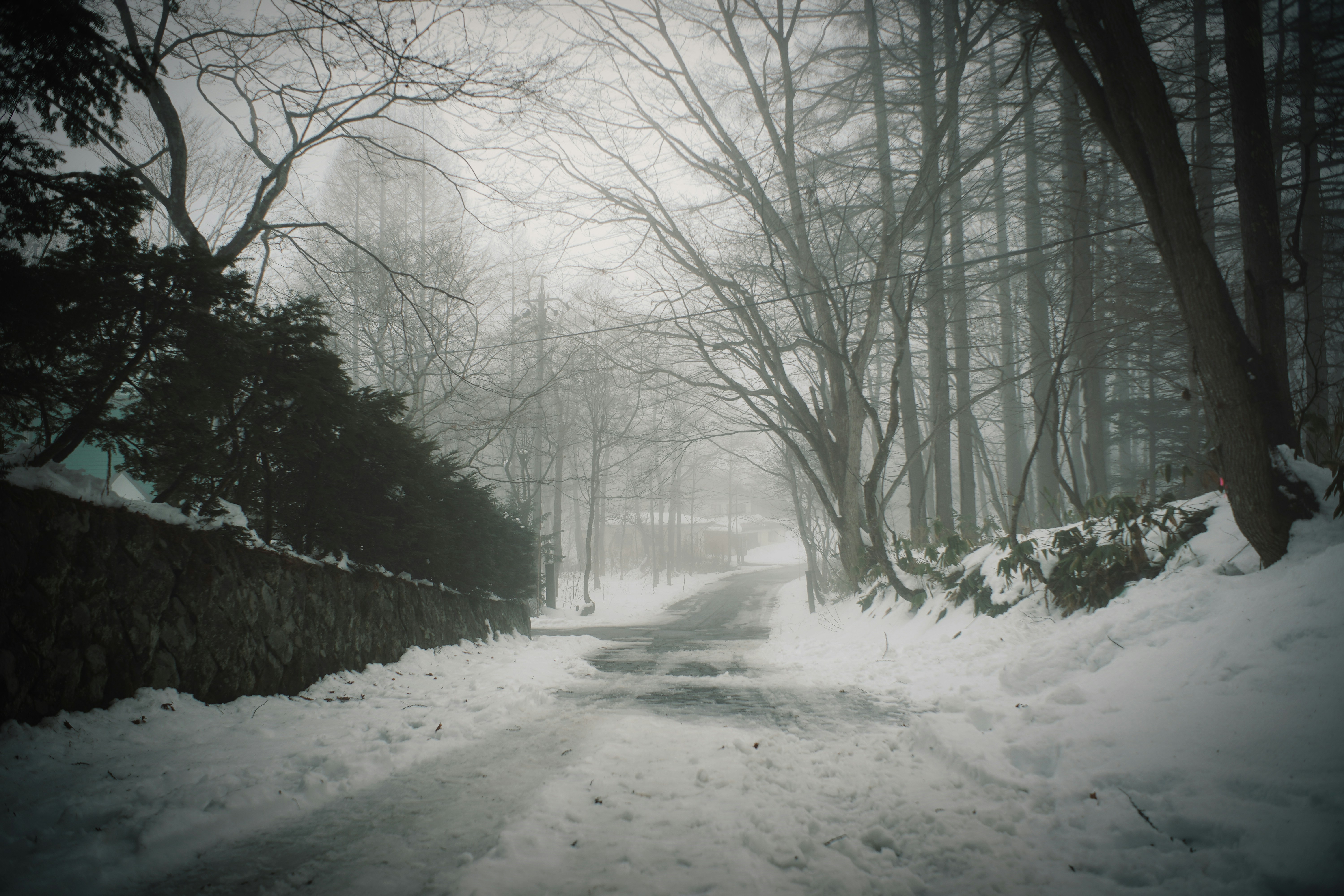 A snow covered road in a wooded area photo – Free Snow Image on Unsplash